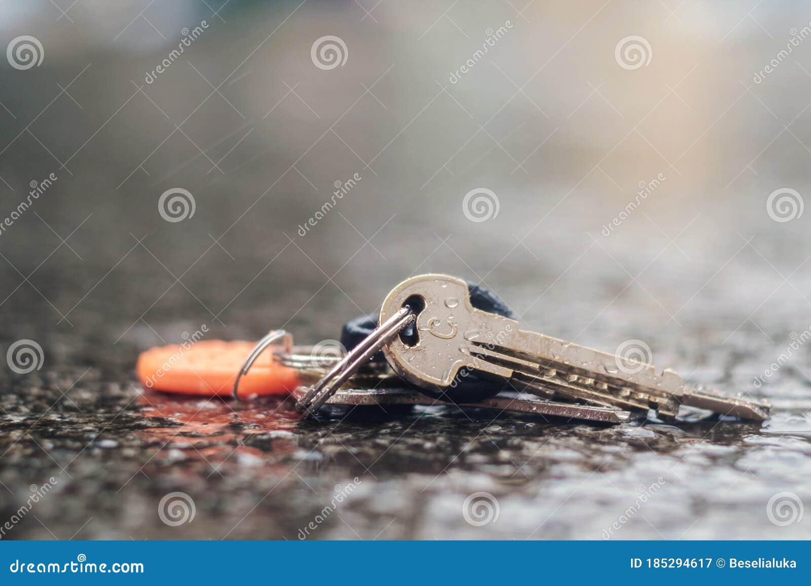 Set of Lost Keys on the Ring on a Wet Ground on the Street Stock Image ...