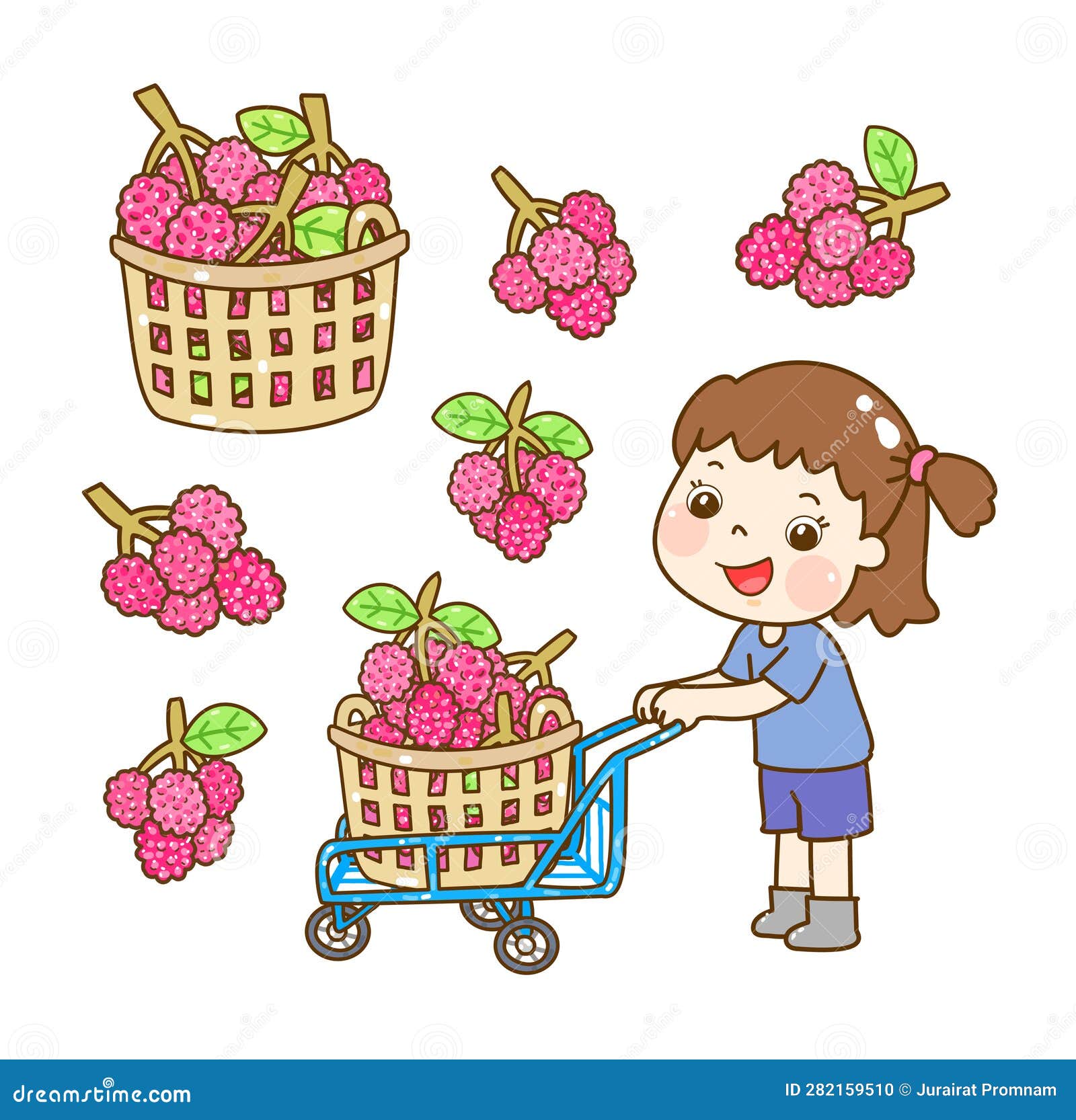Set Lychee Tree on Background Vector. Stock Illustration - Illustration ...
