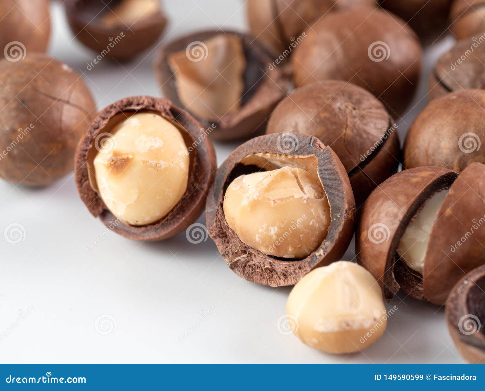 Set macadamia nuts stock image. Image of gourmet, shelled - 149590599