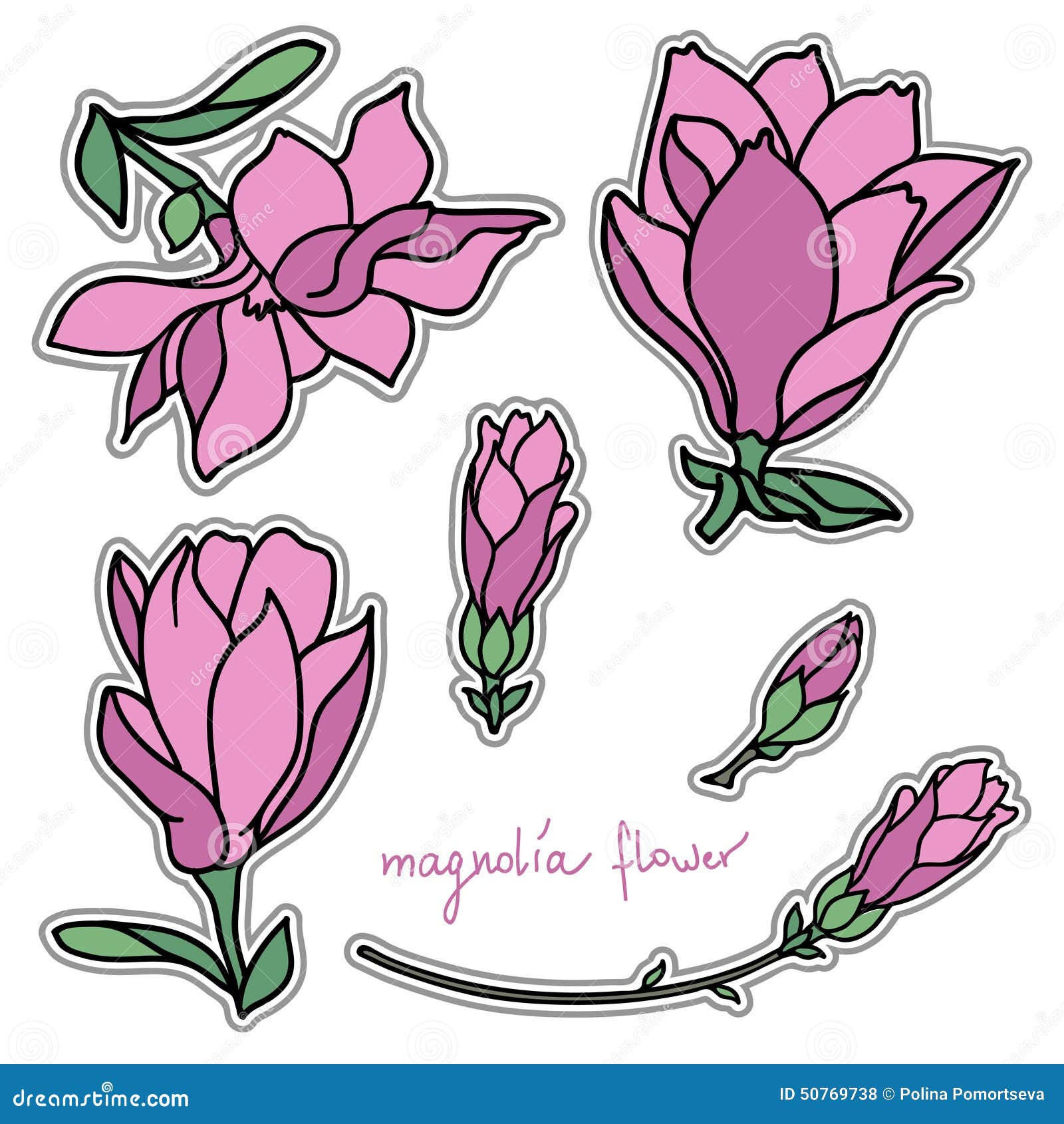 Set of magnolia stickers stock vector. Illustration of blossom - 50769738