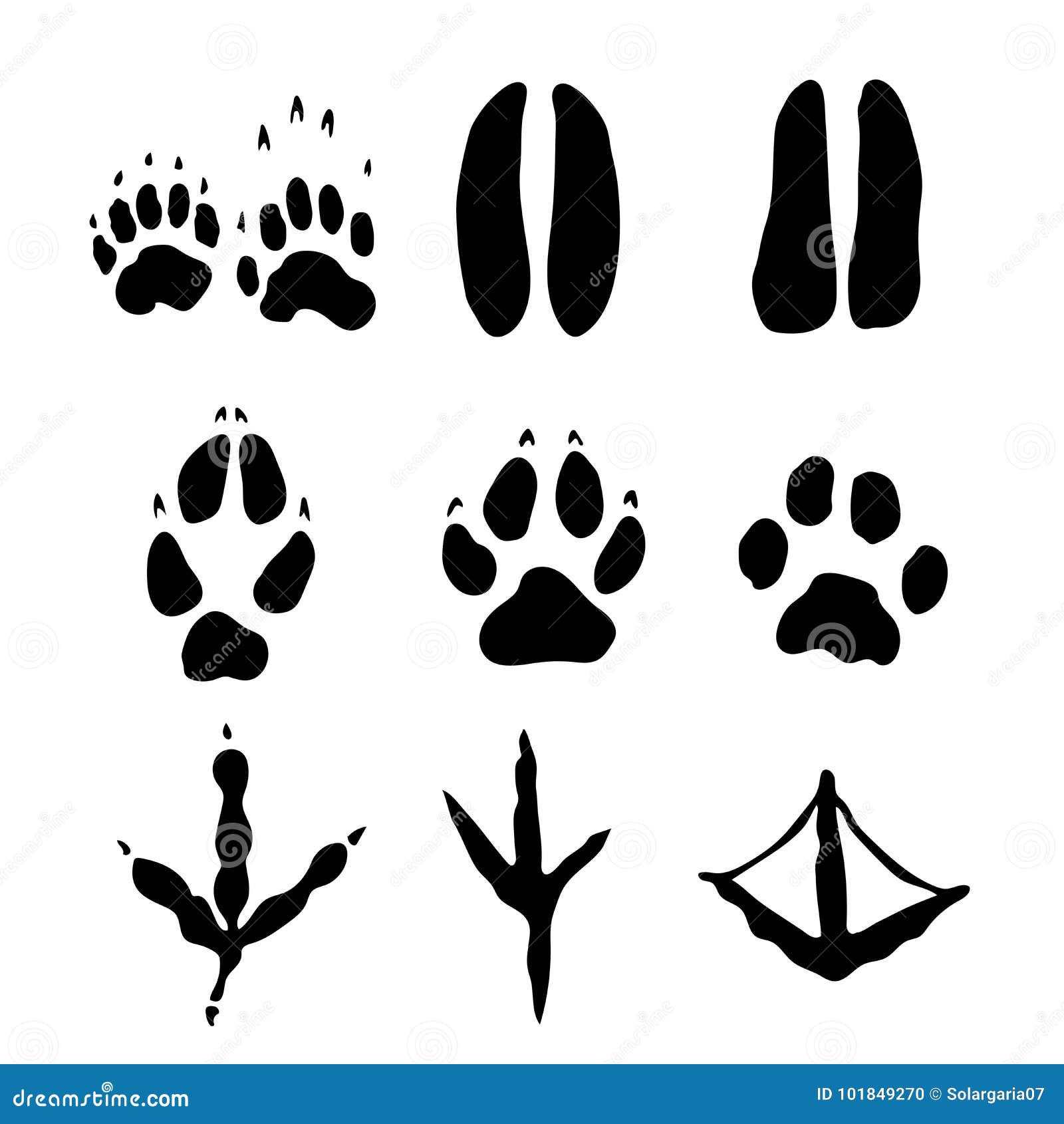 Mink Track, Mink Footprint. Ink, Silhouette Vector Illustration ...