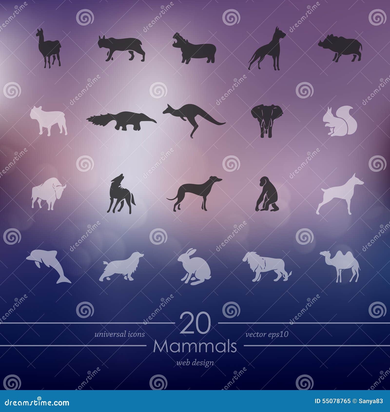 Set of mammals icons stock vector. Illustration of creative - 55078765