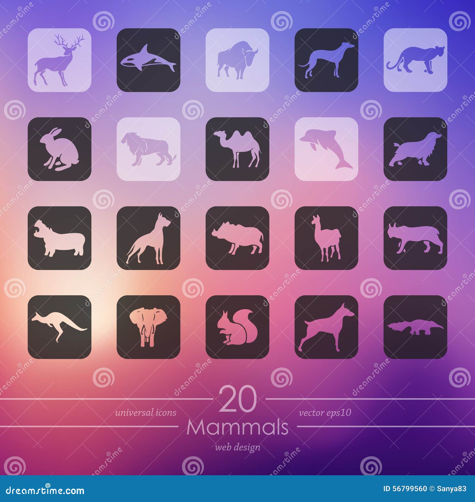 Set of mammals icons stock vector. Illustration of animals - 56799560