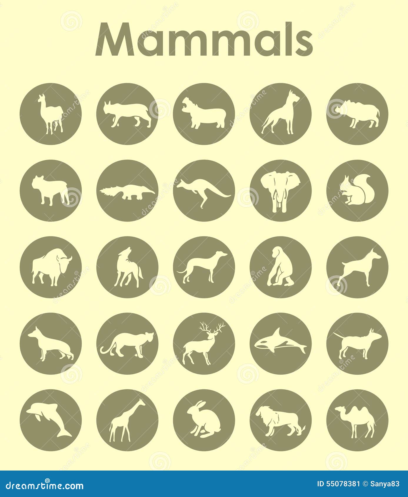Set of Mammals Simple Icons Stock Vector - Illustration of hippopotamus ...