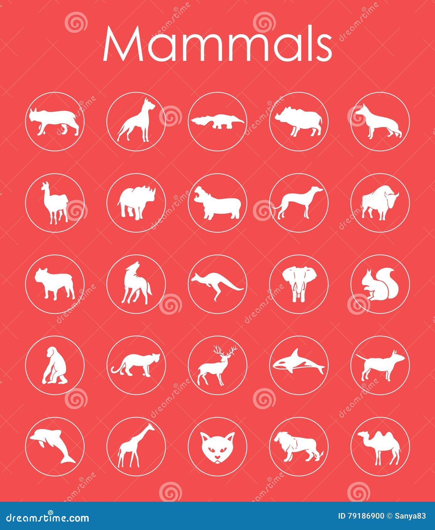 Set of Mammals Simple Icons Stock Vector - Illustration of hippopotamus ...