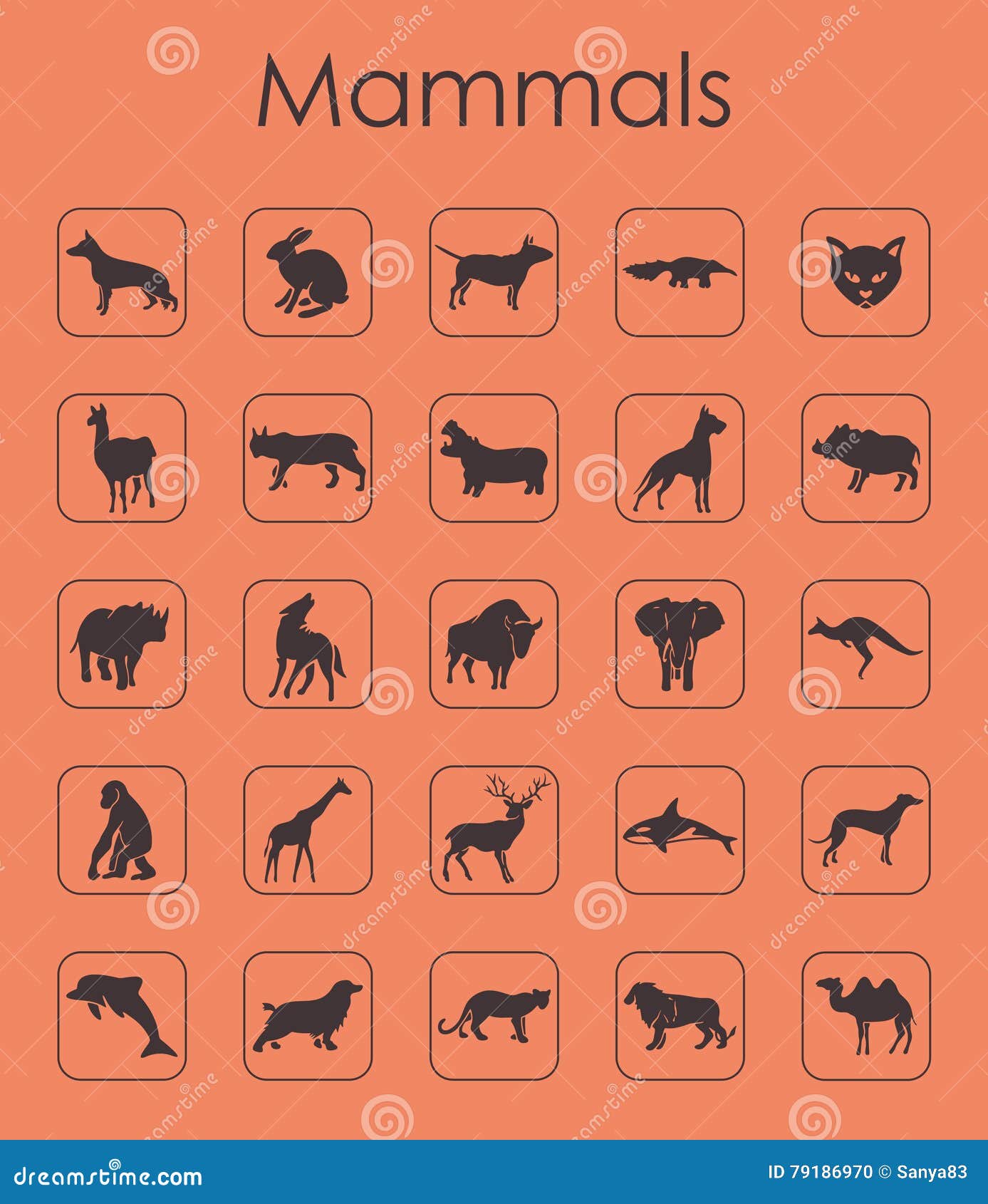 Set of Mammals Simple Icons Stock Vector - Illustration of lynx, design ...