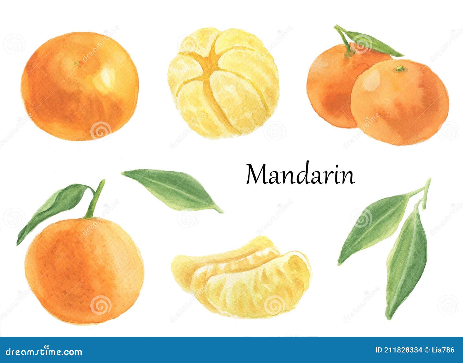 A Set of Mandarin Illustrations. Stock Illustration - Illustration of ...