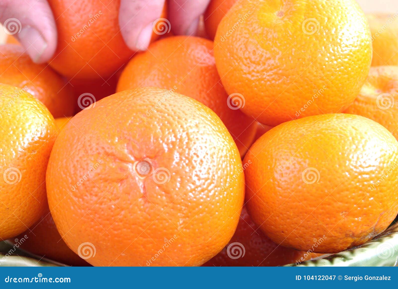 Set of mandarins stock image. Image of hand, mandarins - 104122047