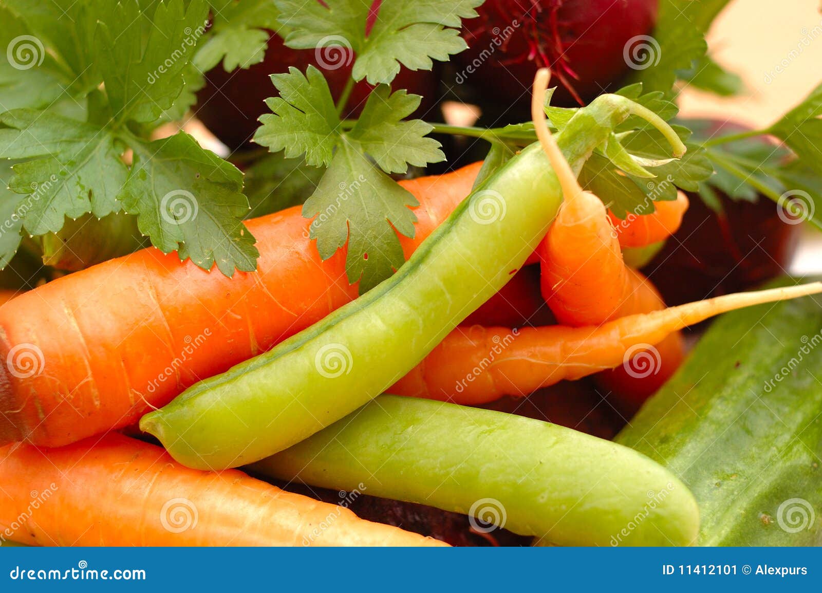Set of Many Different Vegetables. Stock Image - Image of deep, bordeaux ...