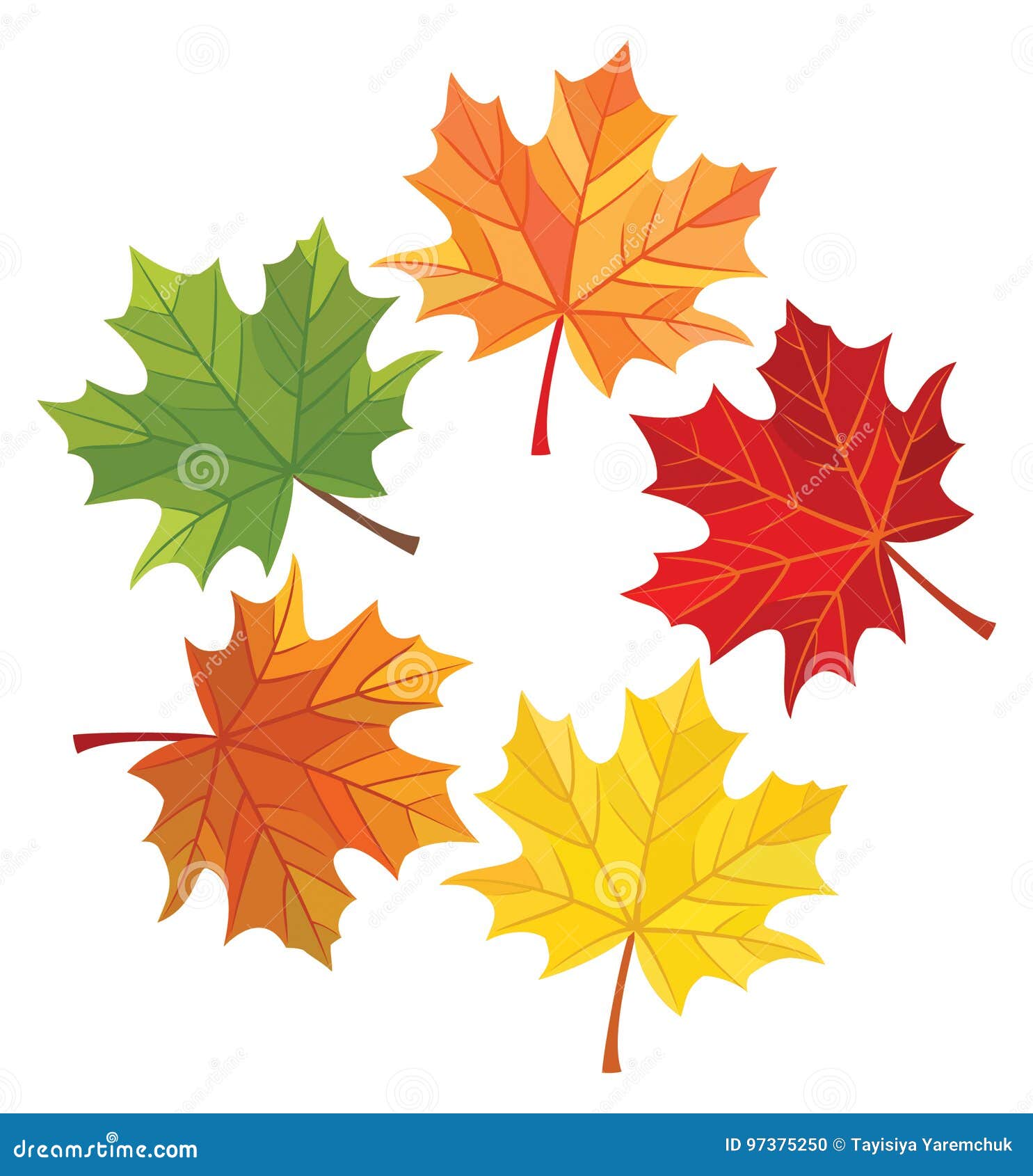 Set of Maple Leaves. Vector Illustration. Stock Illustration ...