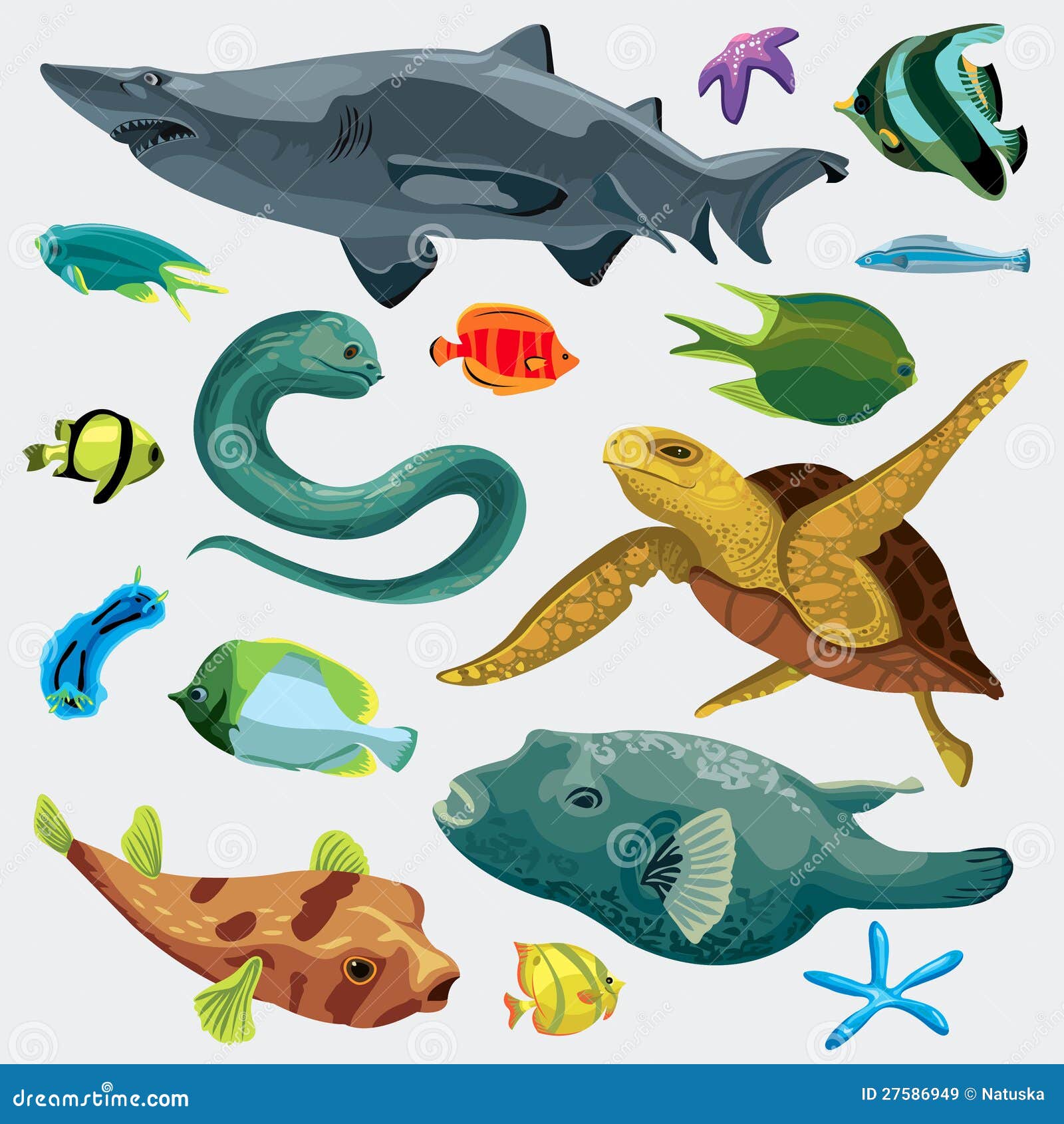 Nudibranchs Cartoons, Illustrations & Vector Stock Images - 38 Pictures ...