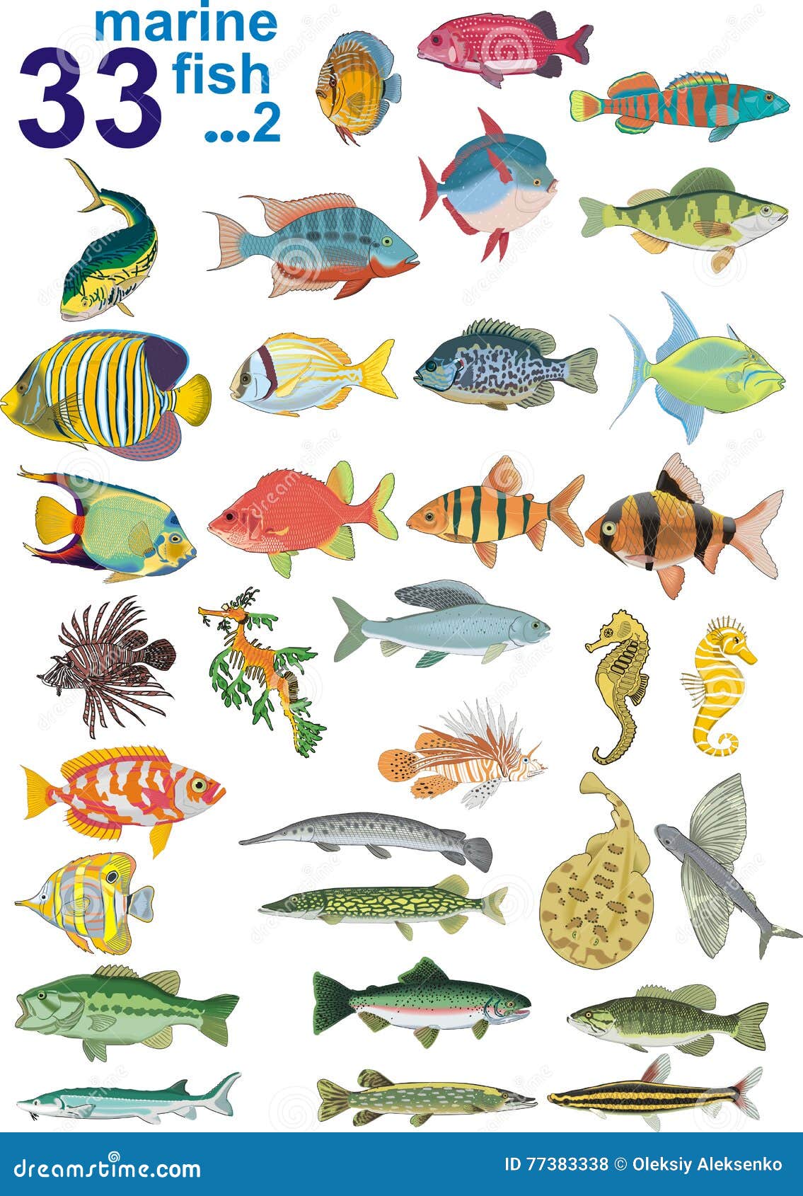 Set - marine fishes stock vector. Illustration of angelfish - 77383338
