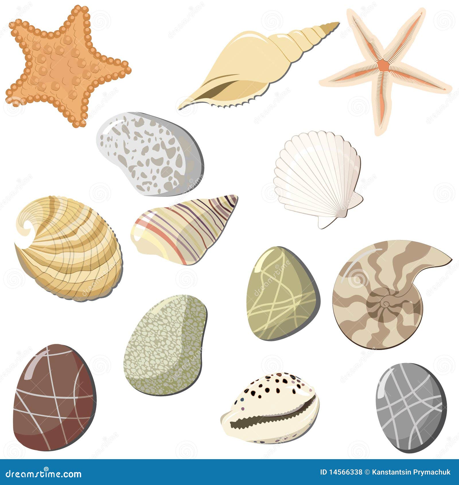 Set of the marine objects. stock illustration. Illustration of seashell ...