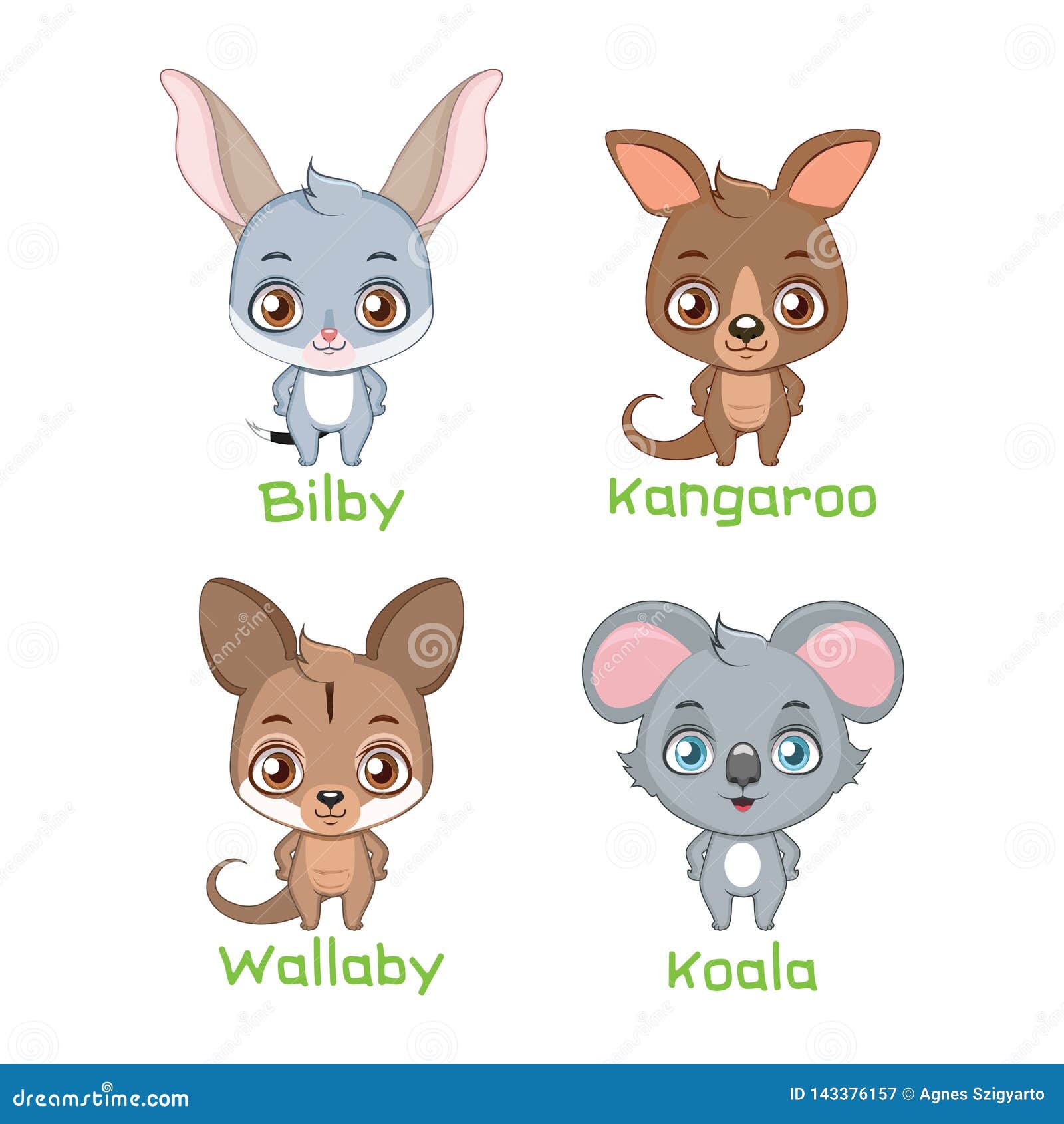 Set of Marsupial Animal Species Stock Vector - Illustration of cartoon ...