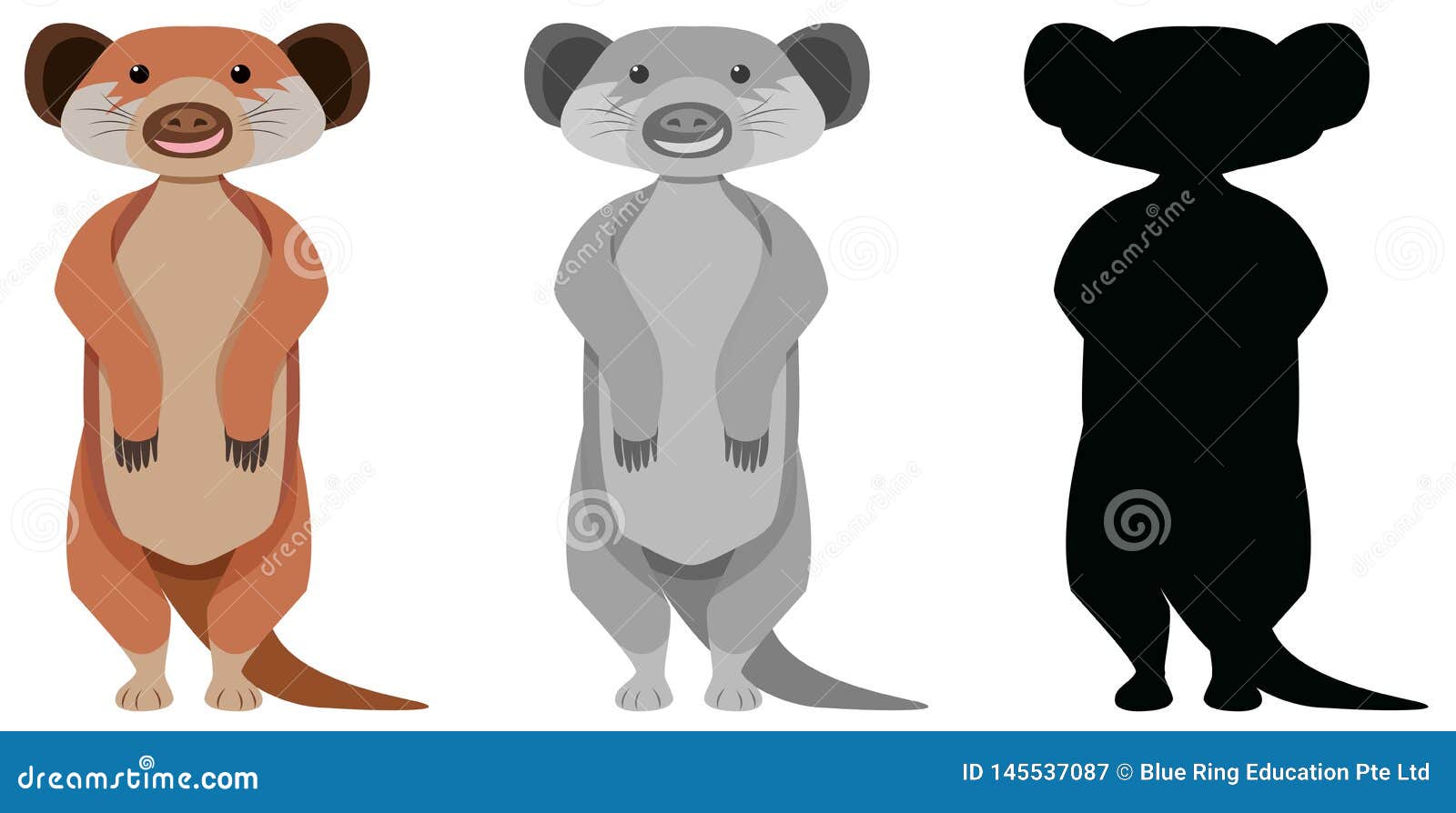 Set of Meerkat Cartoon Character Stock Vector - Illustration of africa ...