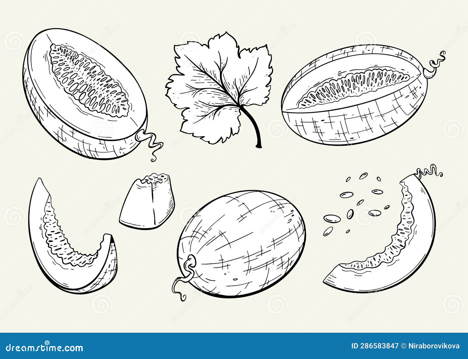 Set of Melons and Melon Slices. Hand Drawn Sketch Style Stock Vector - Illustration of food ...