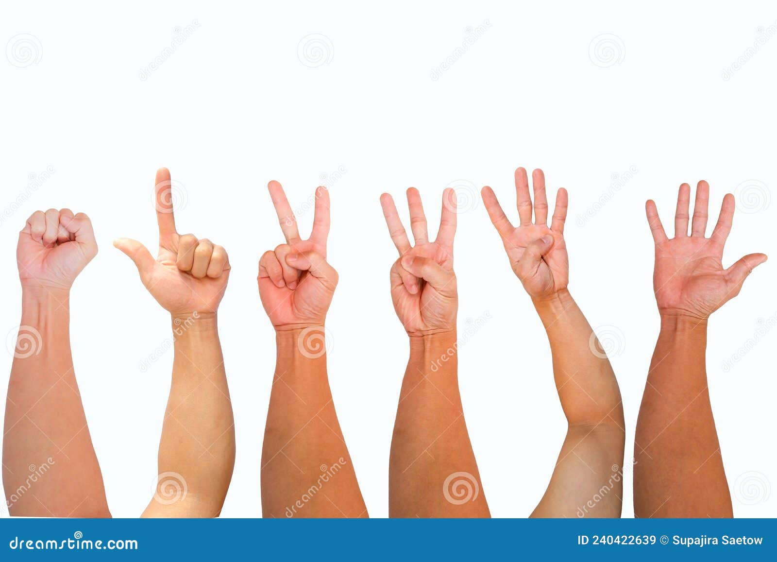 Set of Men`s Hands Symbolizing Invisible Objects Isolated on White ...