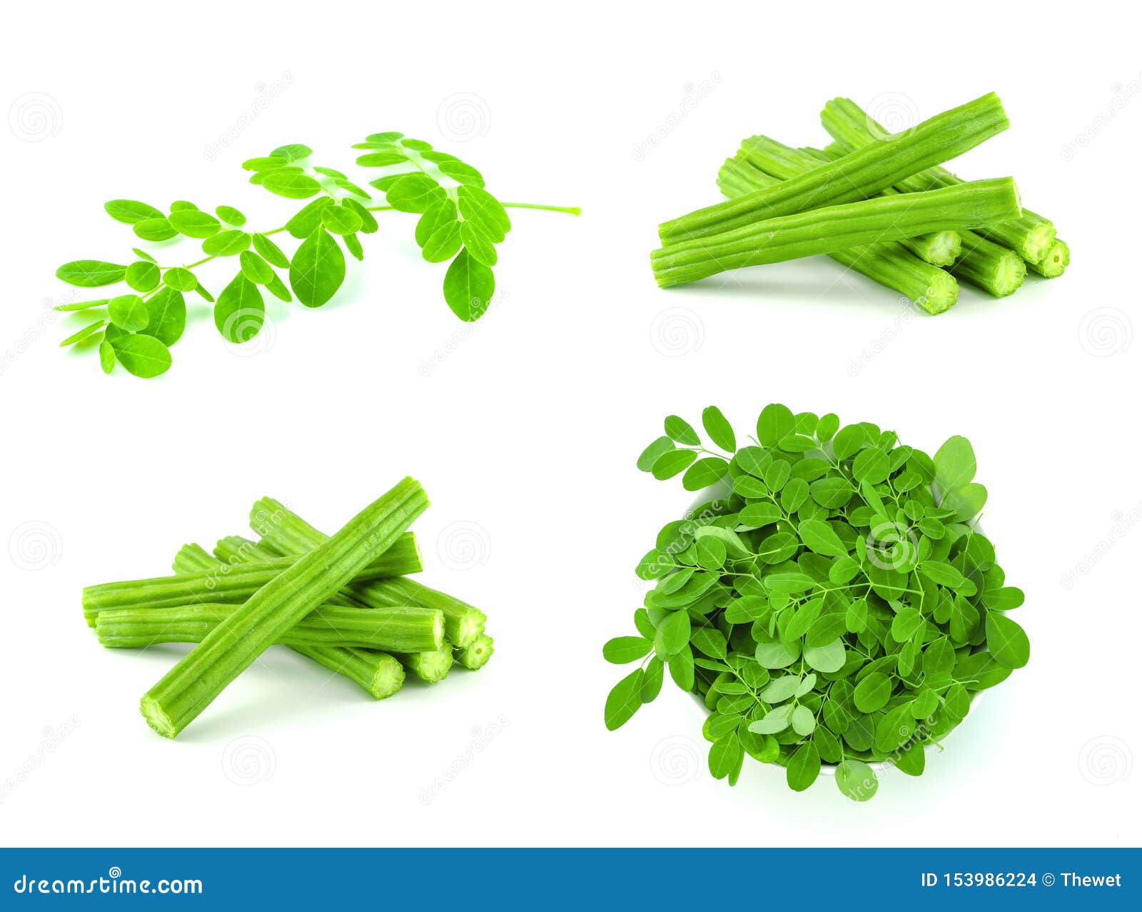 Set of Moringa Leaves and Moringa Fruit Stock Photo - Image of medicine ...