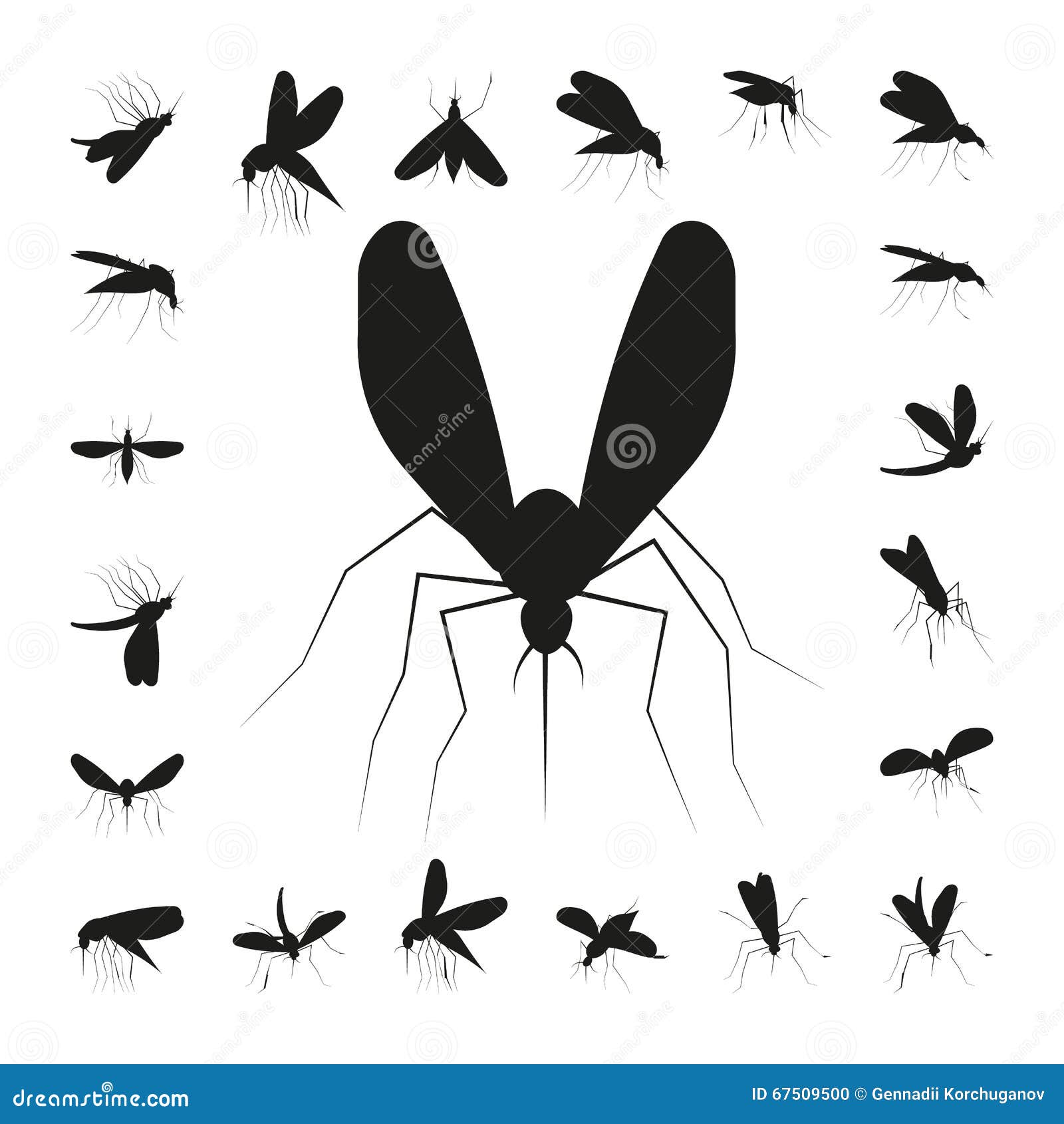Mosquito Silhouette, Black Mosquitoes Isolated On White, Illustration ...