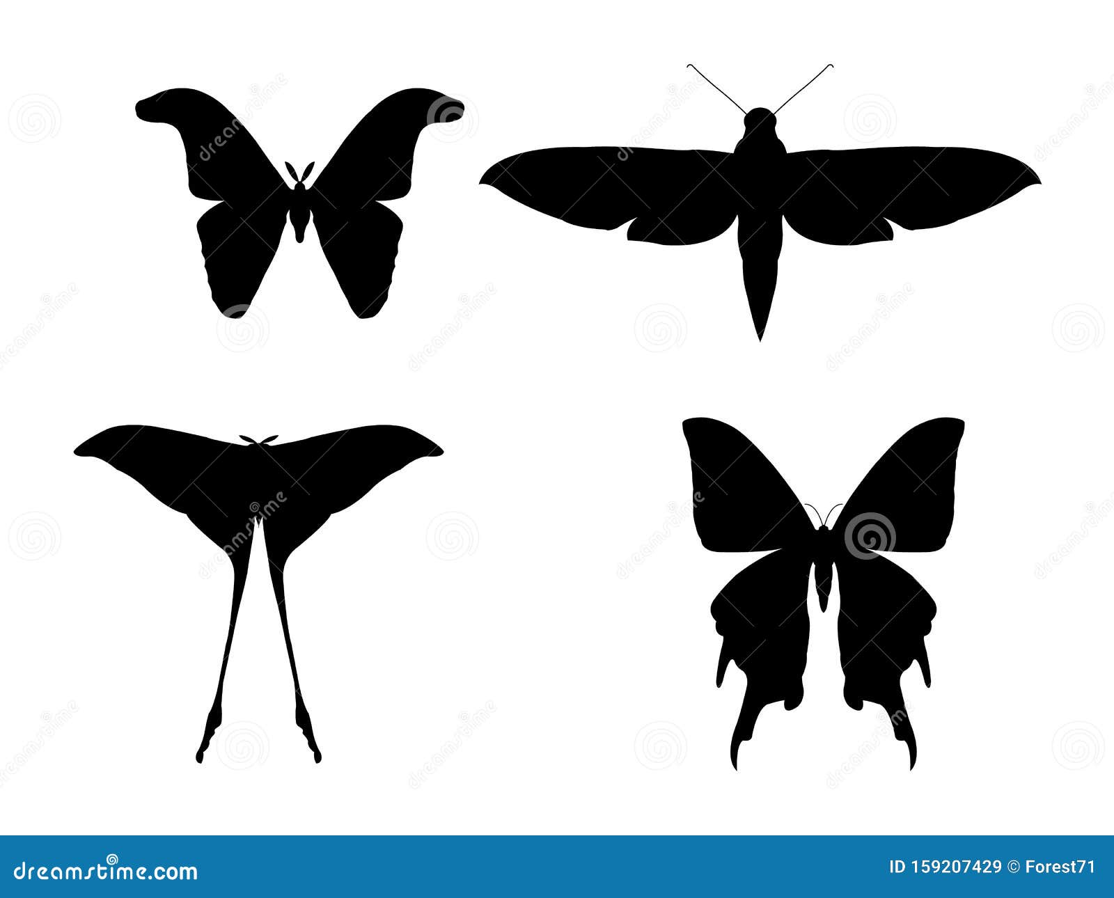 Set of Moth Silhouettes Isolated on White Stock Illustration ...