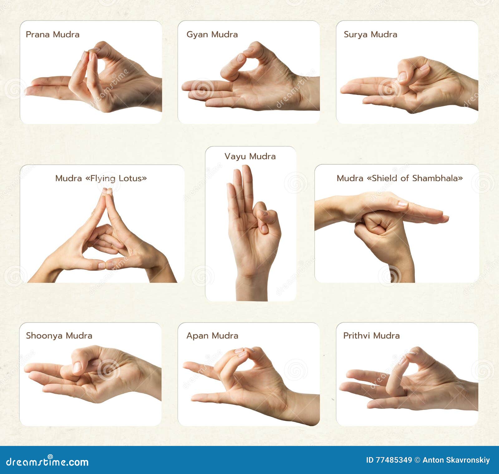 Set of 9 mudras stock image. Image of hindu, peace, mental - 77485349 Set of 9 mudras stock image. Image of hindu, peace, mental - 77485349