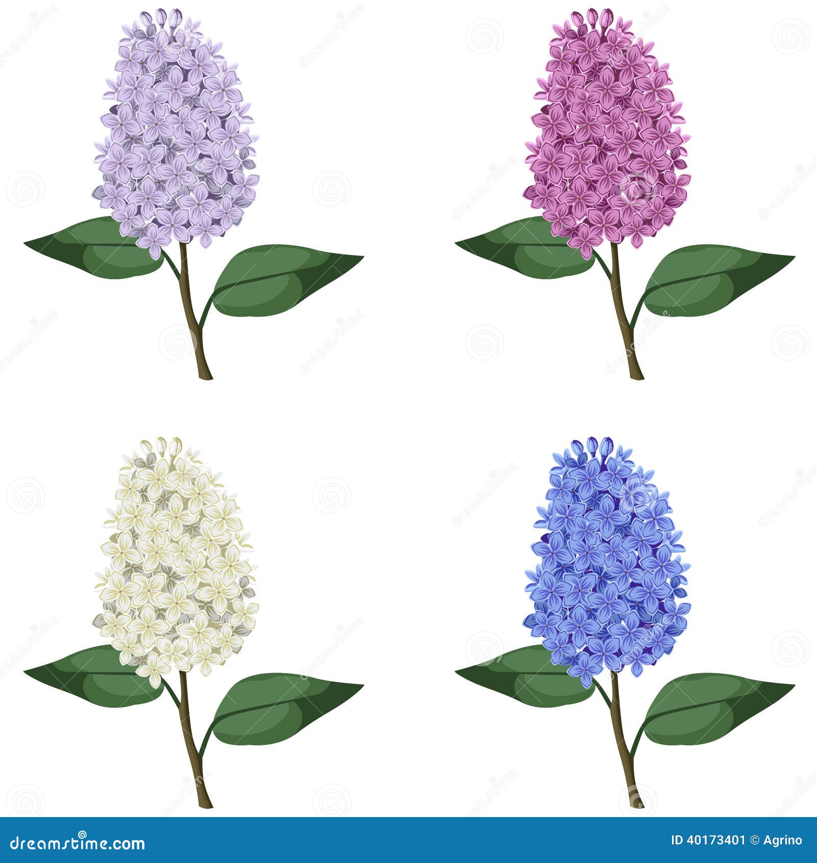 Set of Multicolor Lilac Branches Stock Vector - Illustration of design ...