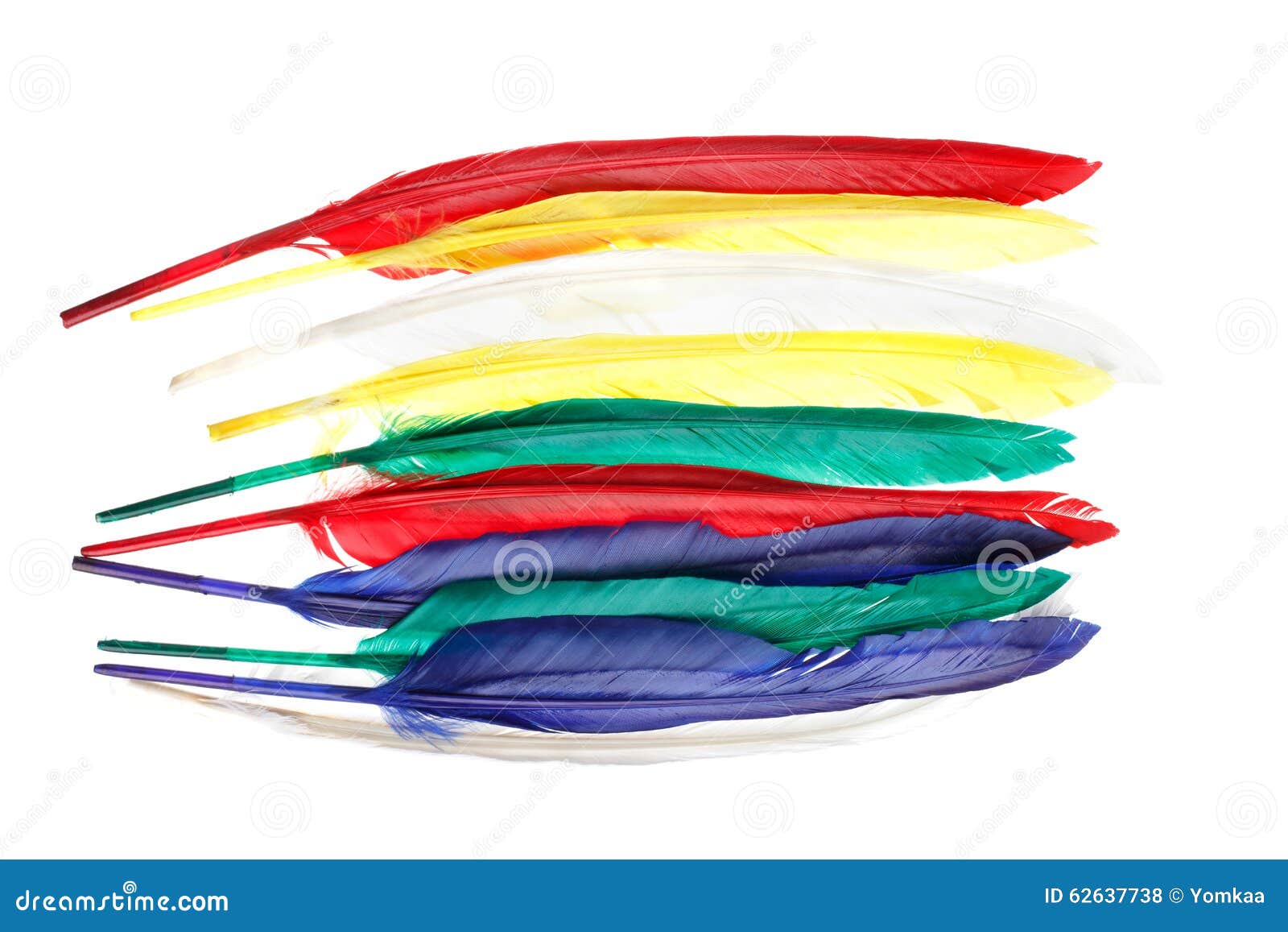 Set of Multicolored Feathers Stock Photo - Image of feathers, bright ...