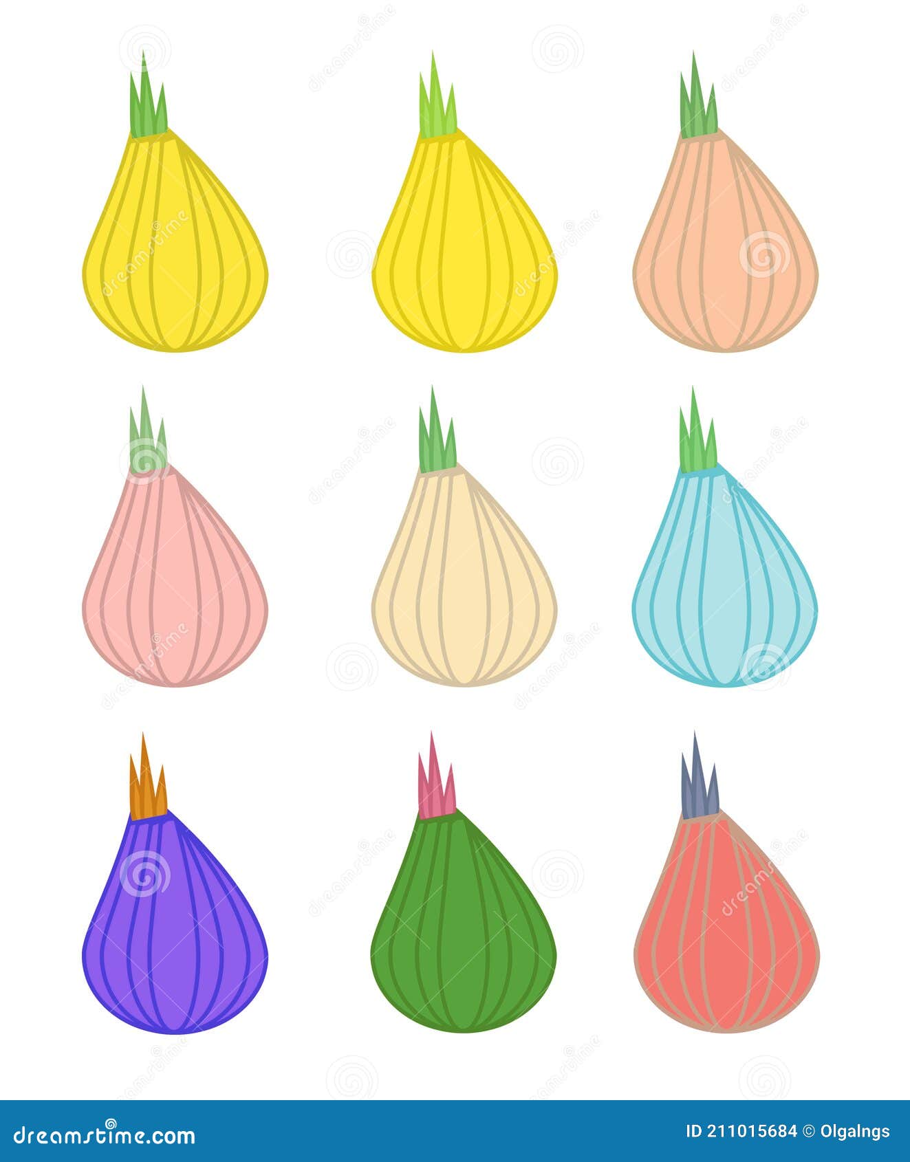 Set of multicolored onion stock illustration. Illustration of abstract ...