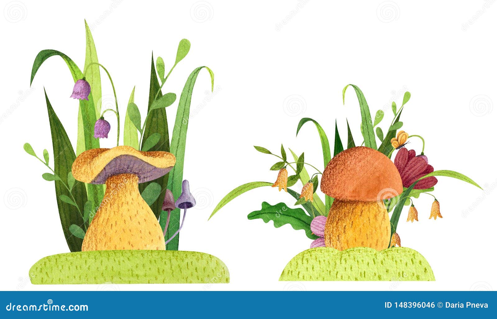 Set of Mushrooms with Grass, Flowers, Butterfly, Leaves. Stock Photo ... Set of Mushrooms with Grass, Flowers, Butterfly, Leaves. Stock Photo ...