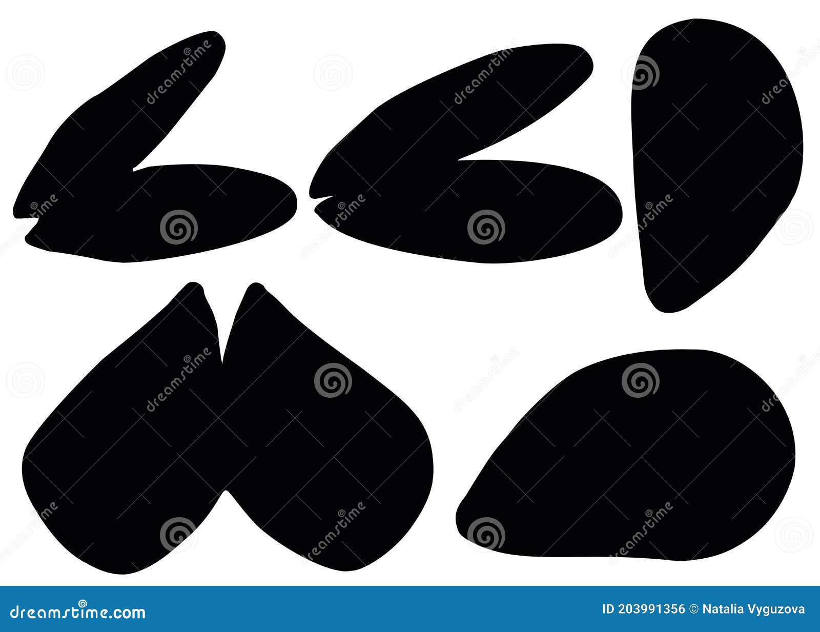 Set of Mussel Shells. Shells of River and Sea Molluscs Stock Vector ...