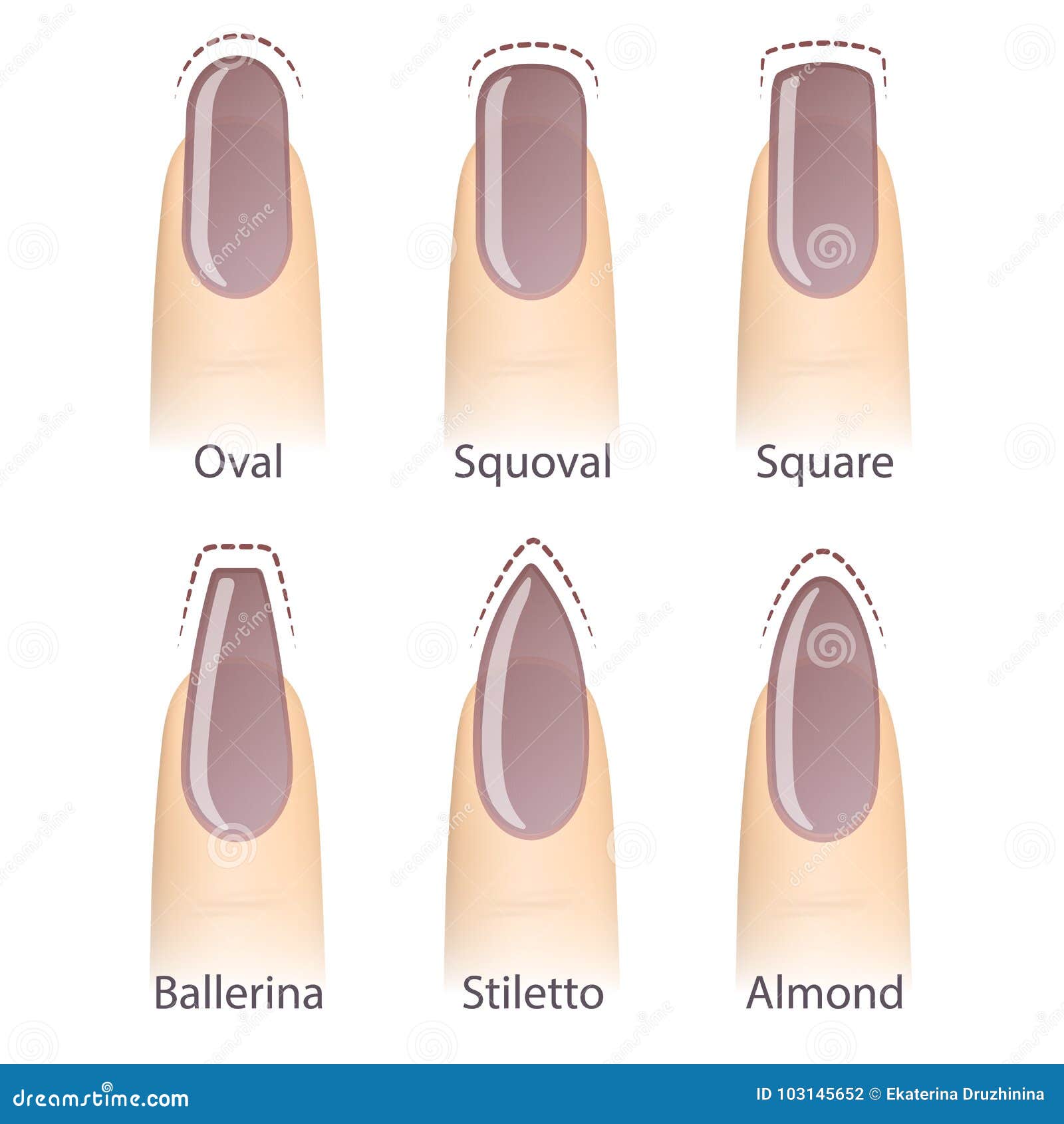 Set Of Nails Shapes Stock Vector Illustration Of Bright 103145652