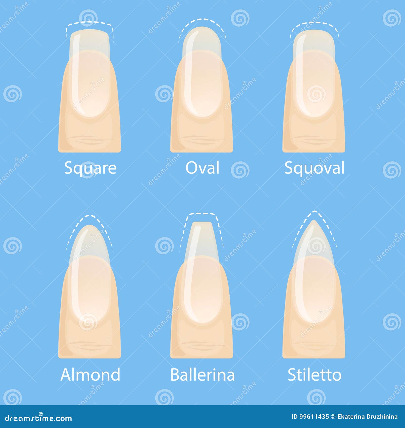 Set Of Nails Shapes Stock Vector Illustration Of Fashion 99611435