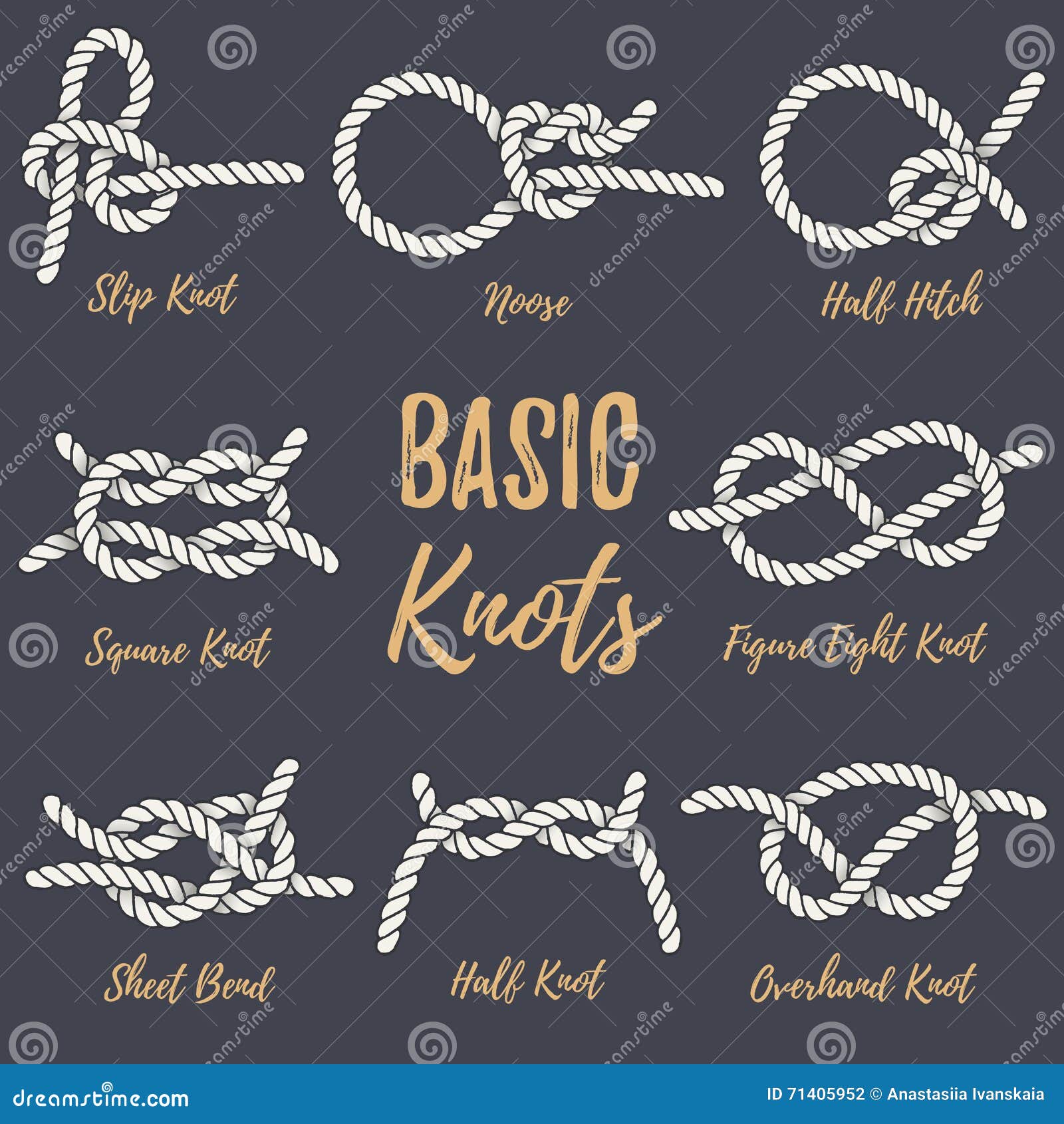 Set of Nautical Rope Knots. Stock Vector - Illustration of element ...
