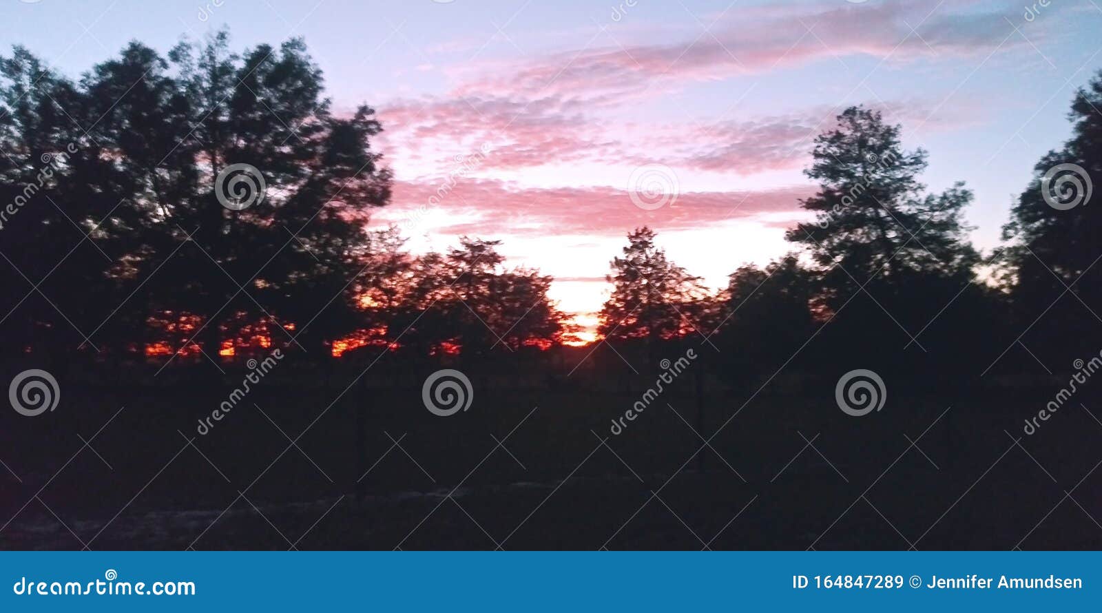 Set and Night Views from Our Yard Stock Image - Image of night, yard ...