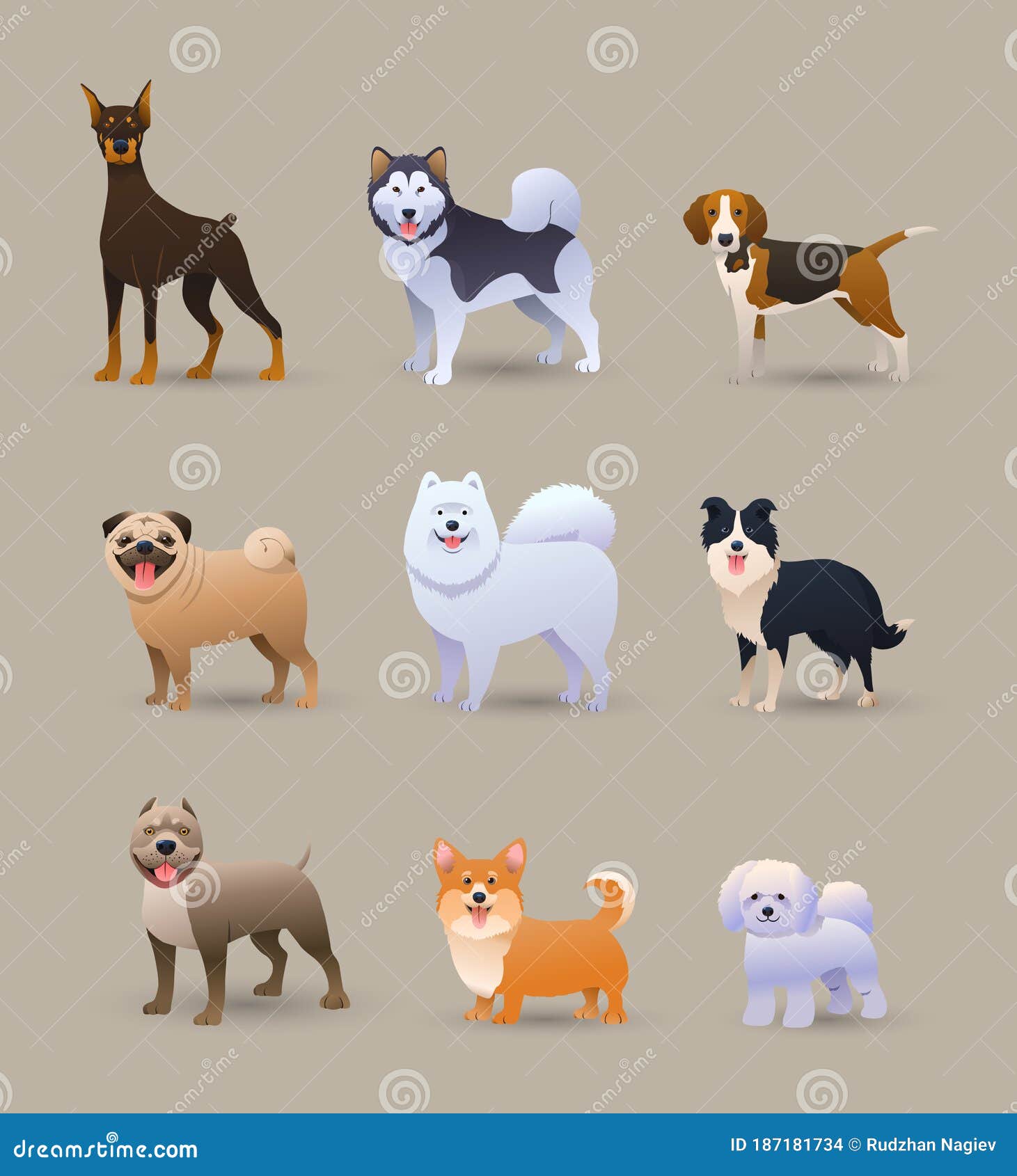 Set of Nine Different Dog Breeds Stock Vector - Illustration of english ...