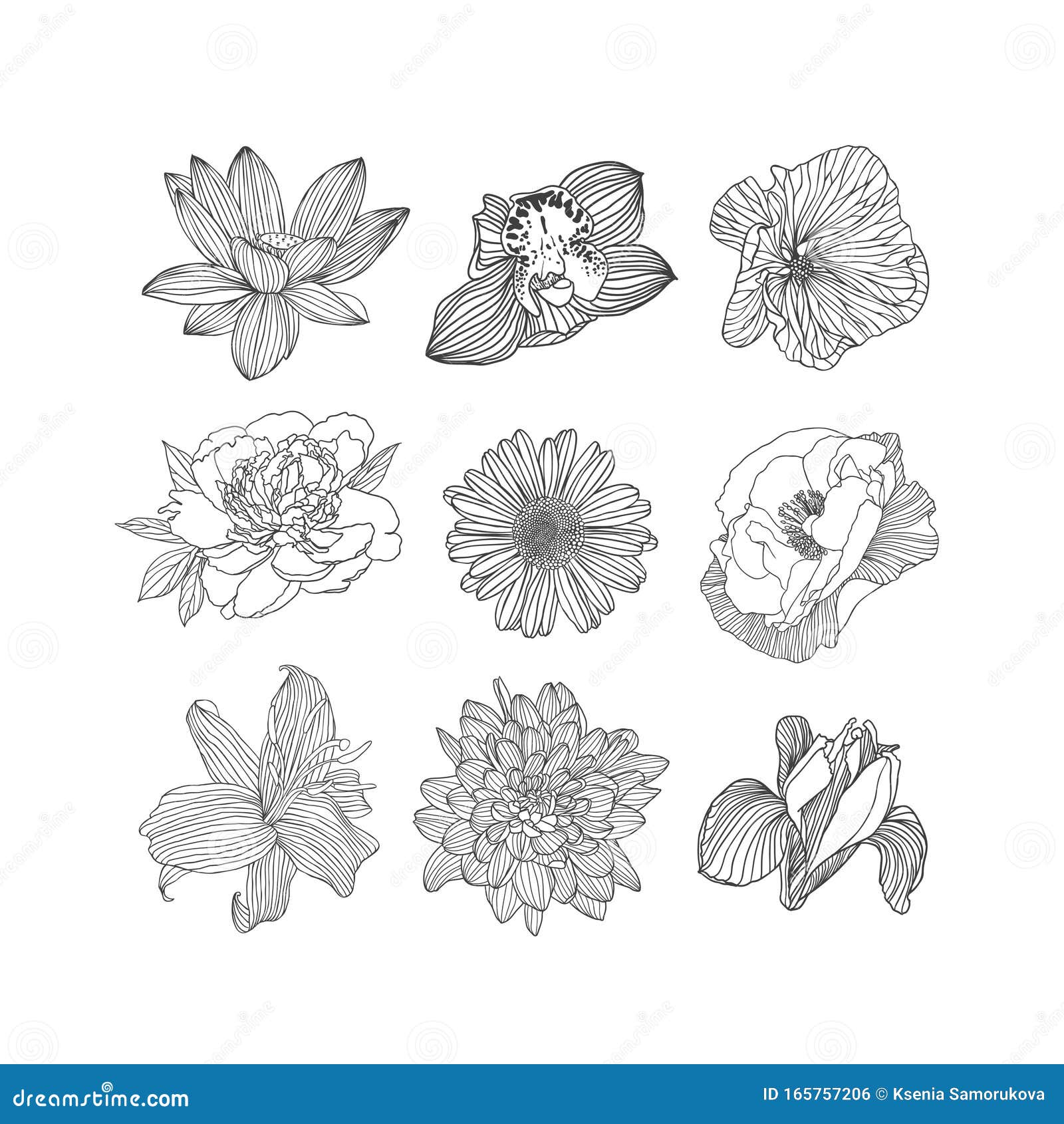 Set of Nine Different Flowers Stock Vector - Illustration of black ...