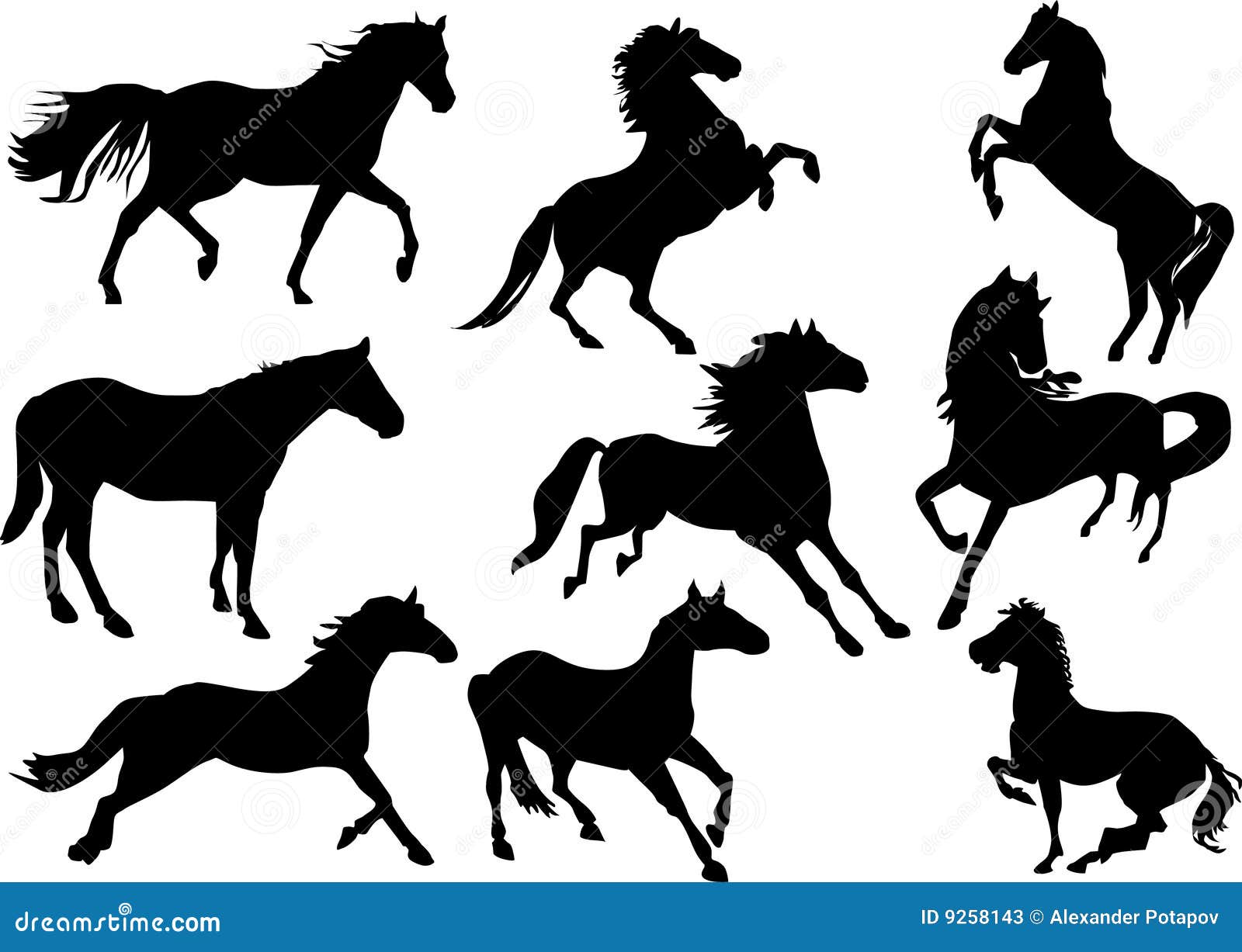 Set of Nine Horse Silhouettes Stock Illustration - Illustration of ...