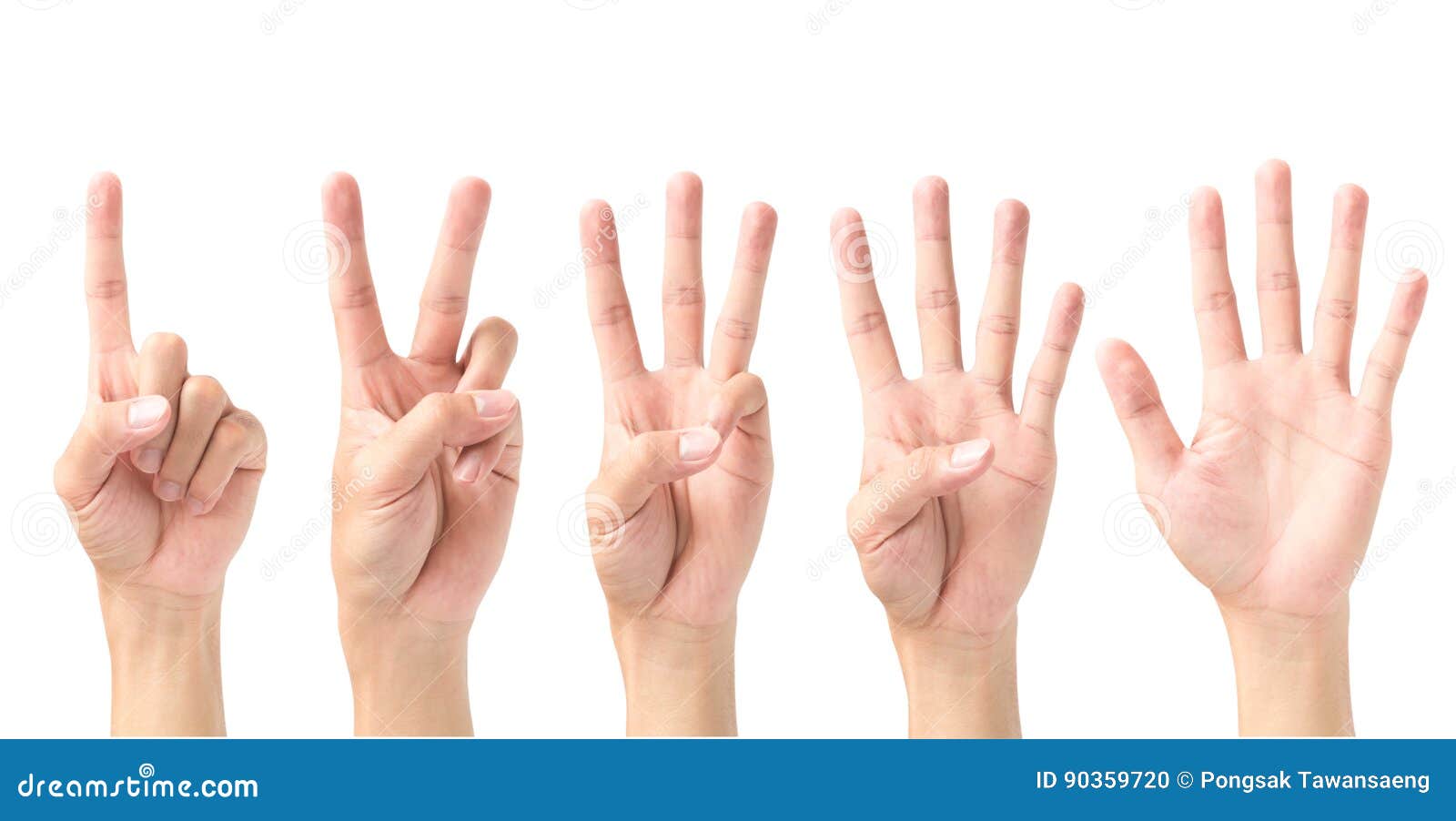 Set of Number 1 2 3 4 5 with Hand Sign Isolated on White Background ...