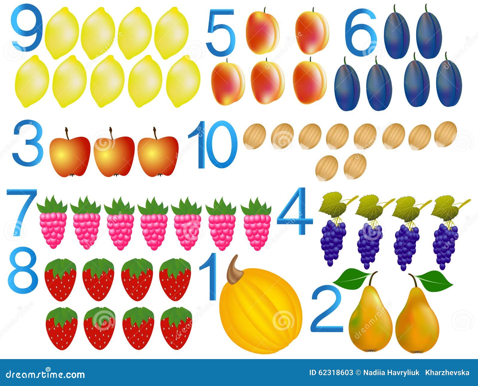 Set of Numbers and Fruit for the Children. Stock Vector - Illustration ...