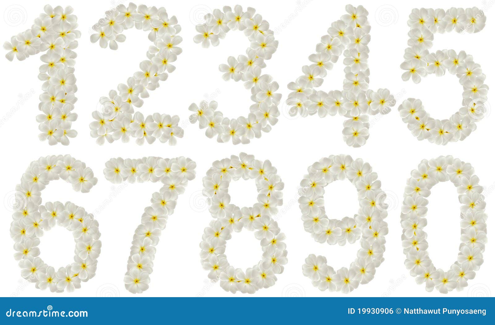 Set of Numbers Made of Flowers Isolated Stock Photo - Image of nature ...