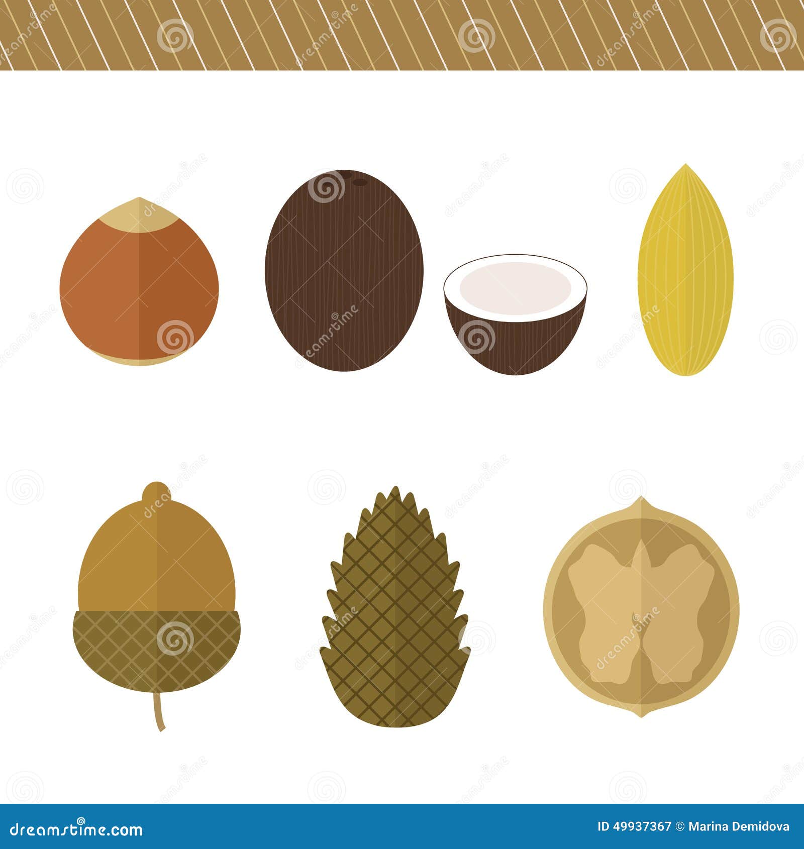 Set of Nuts. Vector Elements for Design Stock Vector - Illustration of ...
