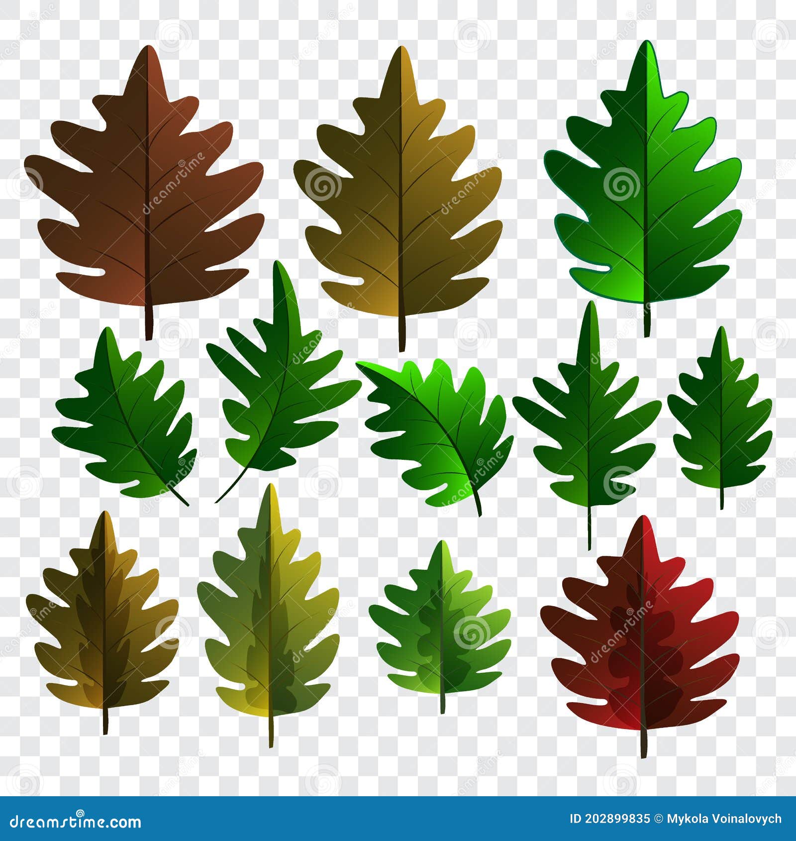 Set of Oak Leaves, Vector Abstract Background Design Stock Vector ...