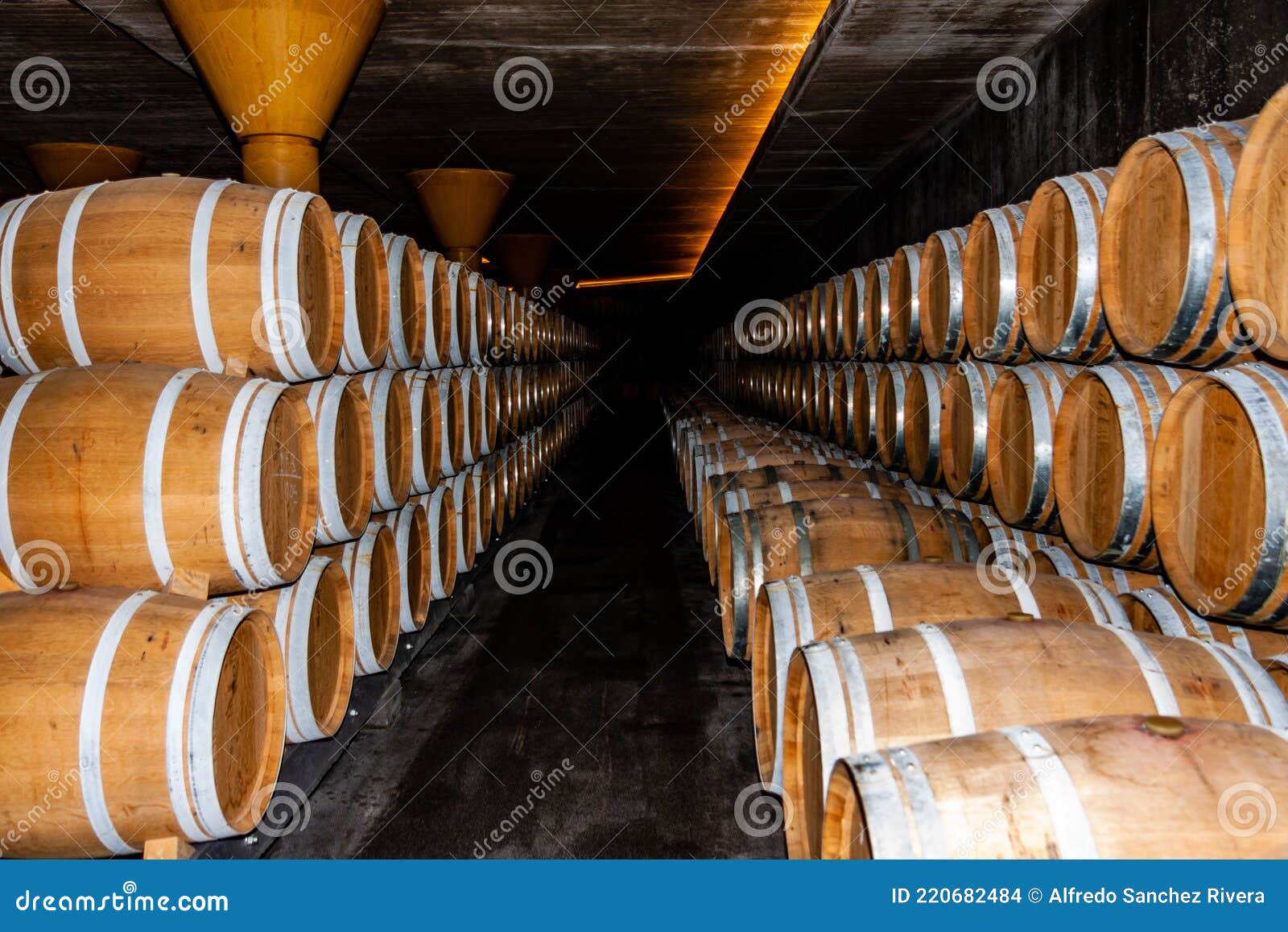 Set of oak wine barrels stock photo. Image of cylinder - 220682484