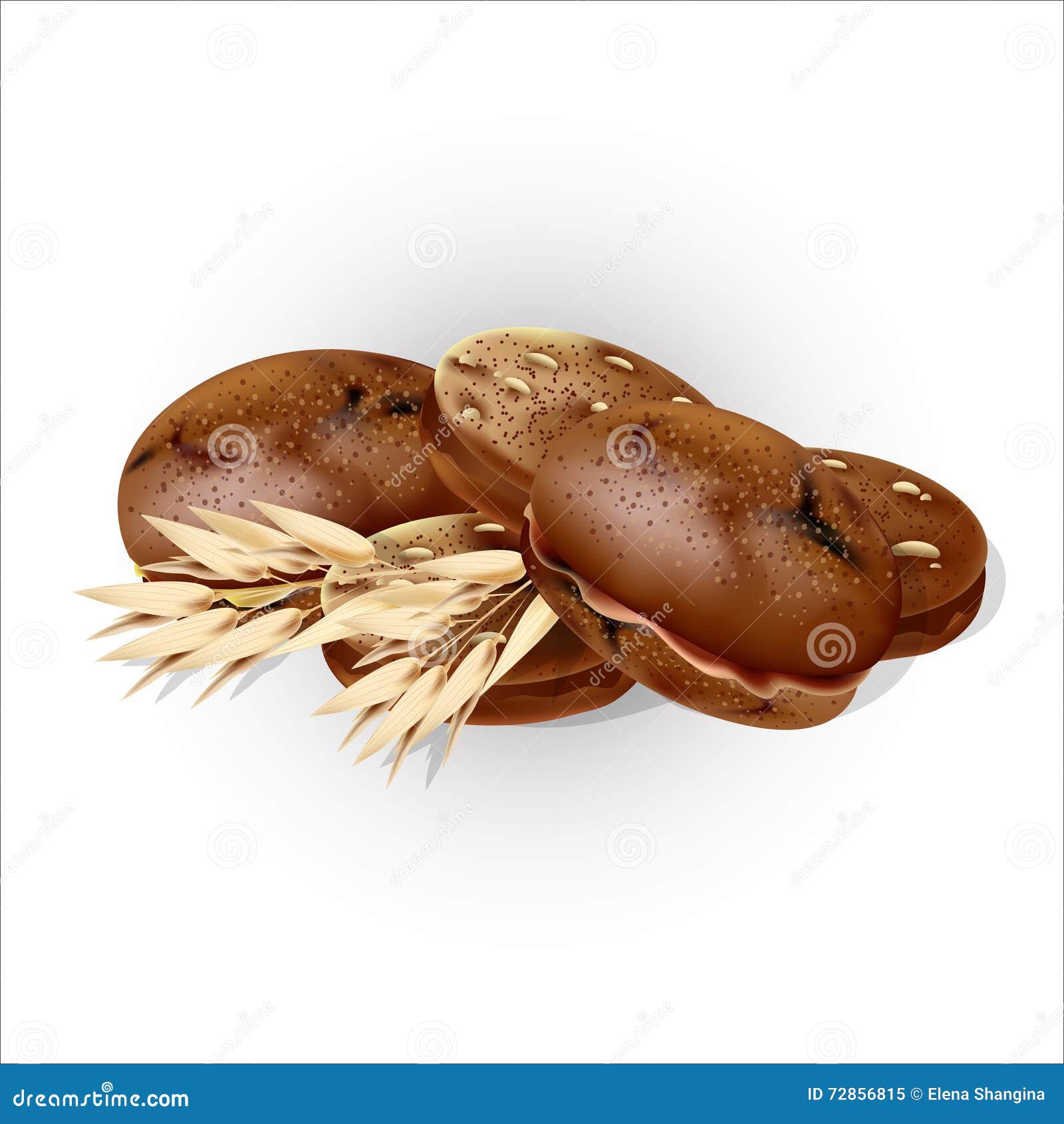 A Set of Oatmeal Cookies for a Useful Breakfast. Stock Vector ...