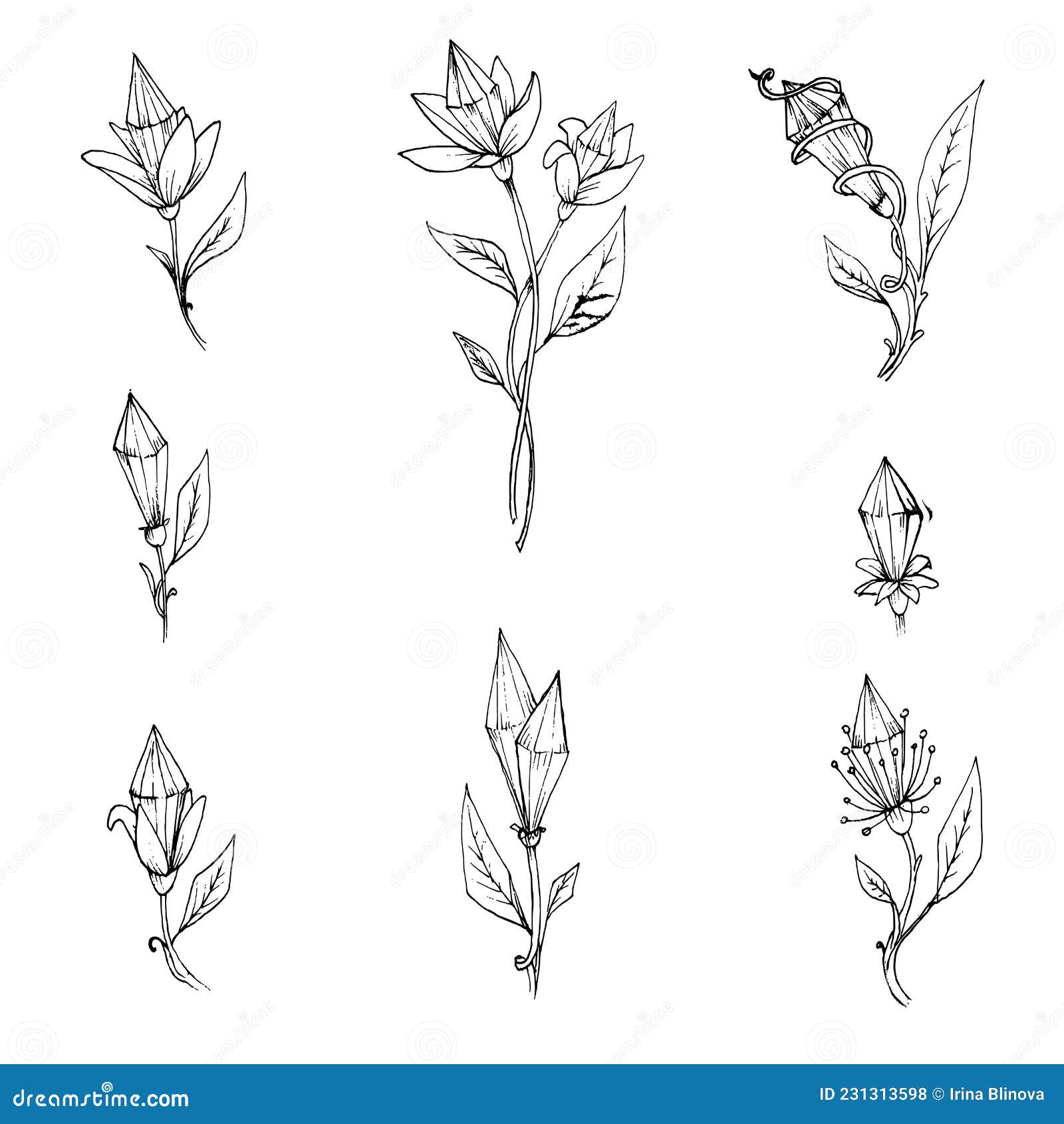 Set of Objects Sketch Hand Drawn Lines Texture Flower Crystals Stock ...