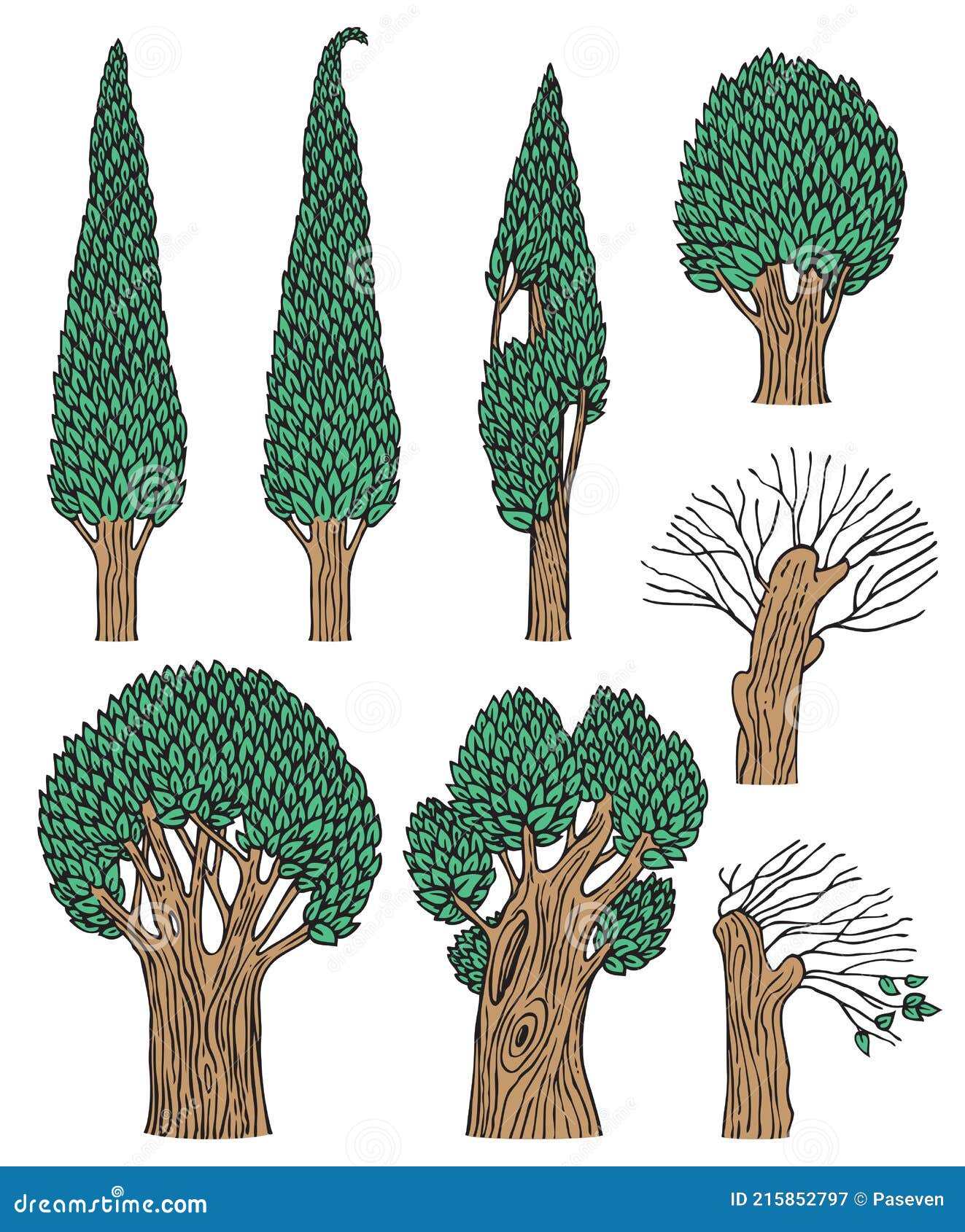 Set of Old Deciduous Trees on a White Background Stock Vector ...