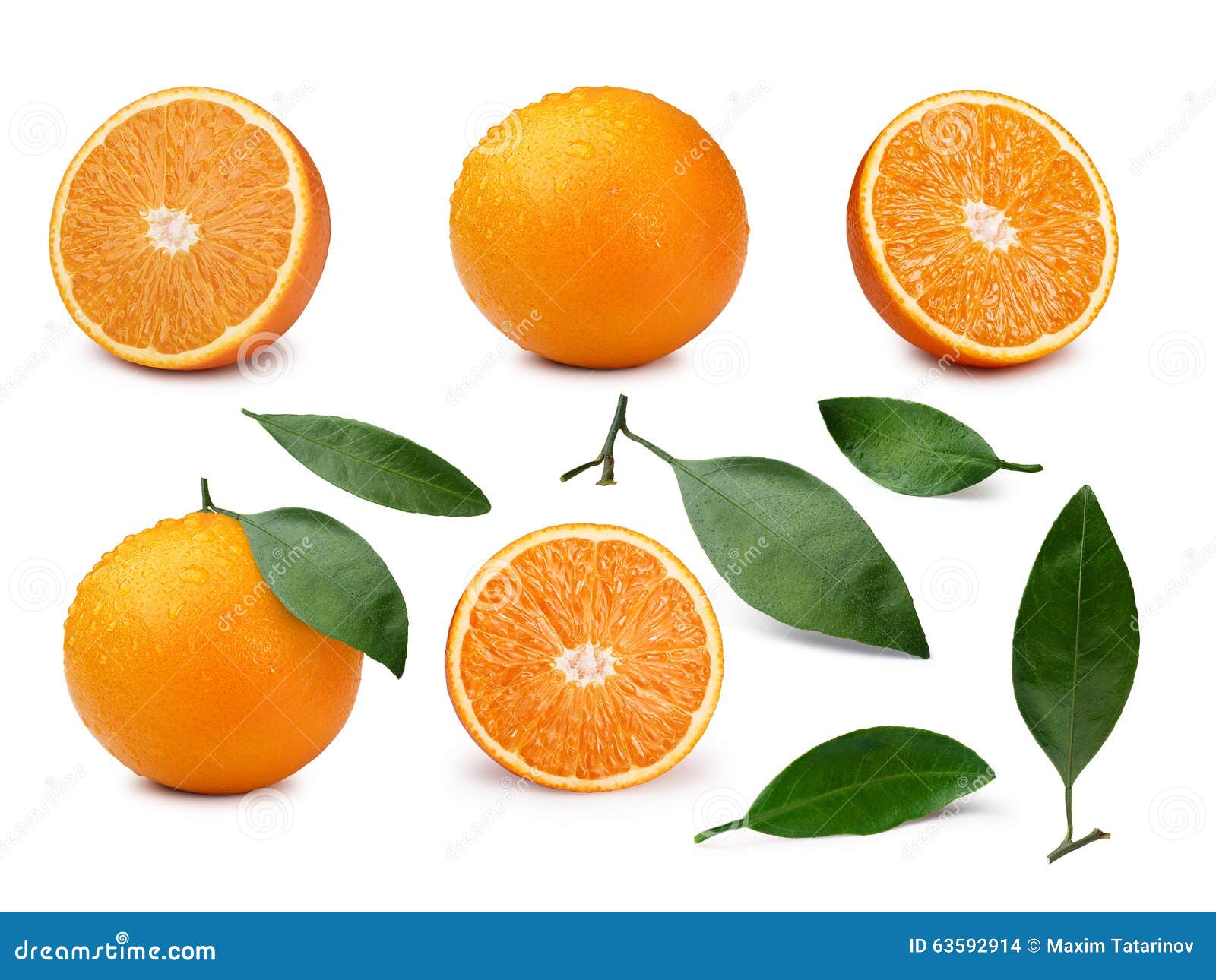 Set of oranges stock photo. Image of green, isolated - 63592914