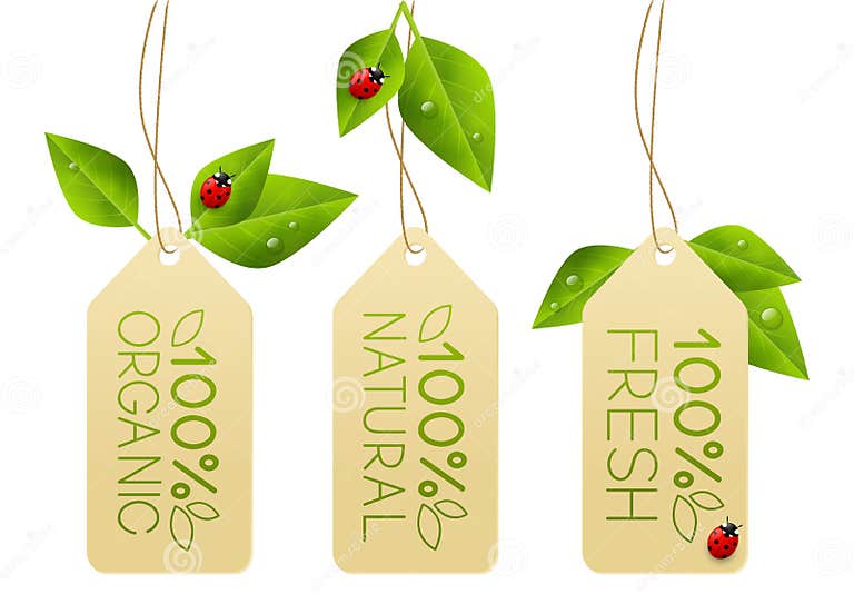 Set of organic tags stock vector. Illustration of price - 41893165
