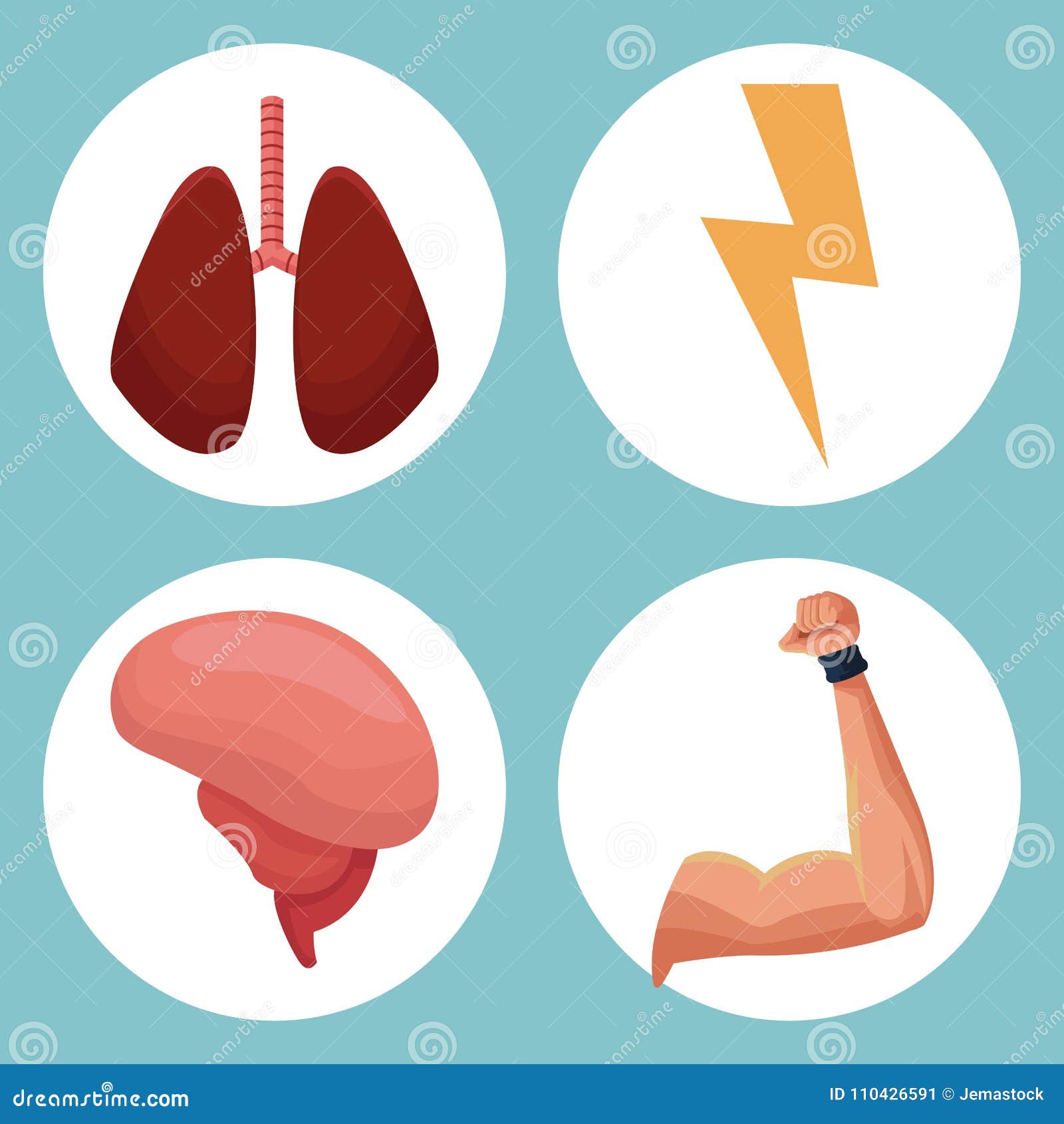 Set Organs Human Healthy Image Stock Vector - Illustration of internal ...