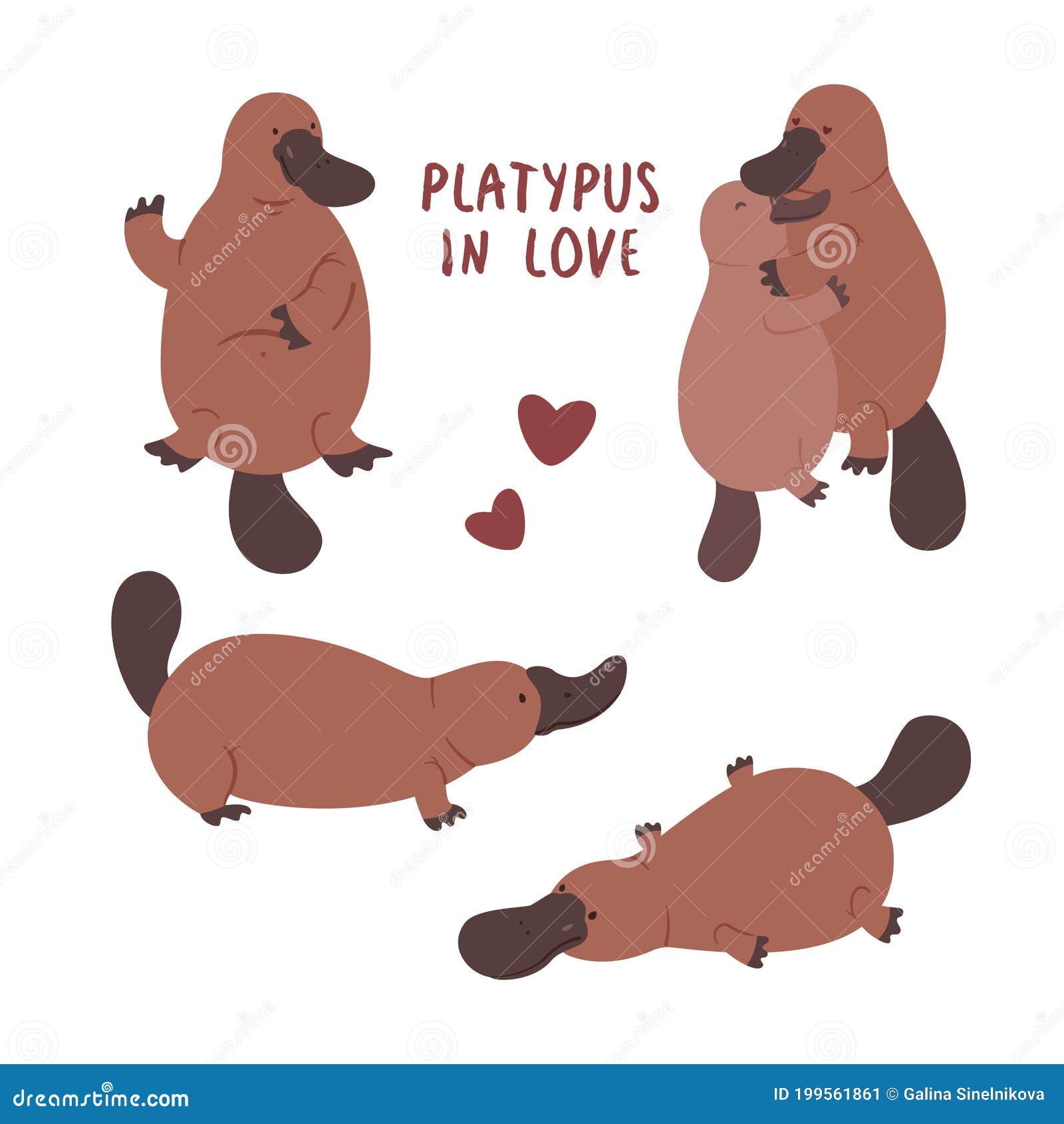 Set With Pair Of Platypuses In Love. Vector Flat Illustration Animal Isolated On White ...